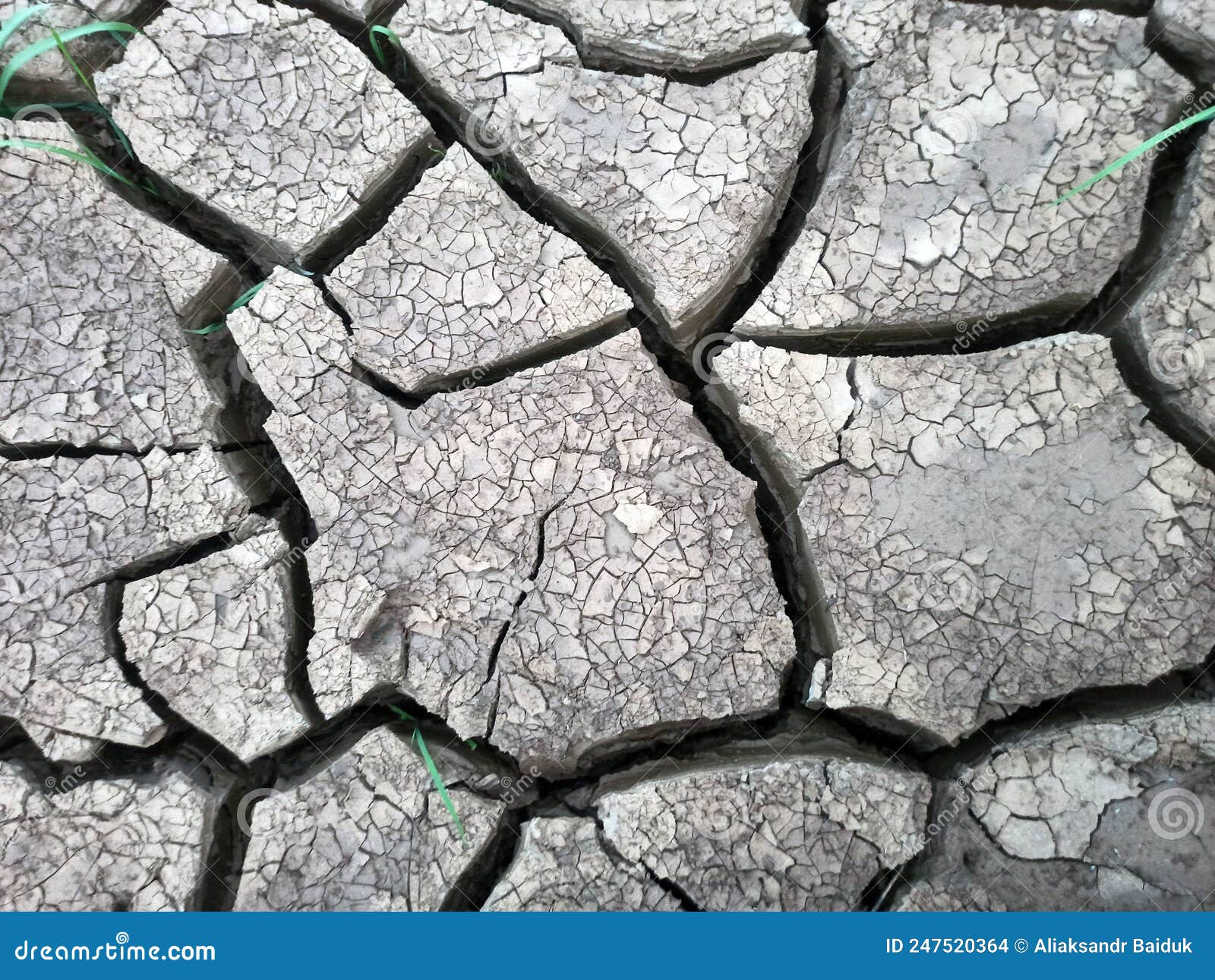 Dried Marsh Ground Creating a Cracked Texture Stock Photo - Image of ...