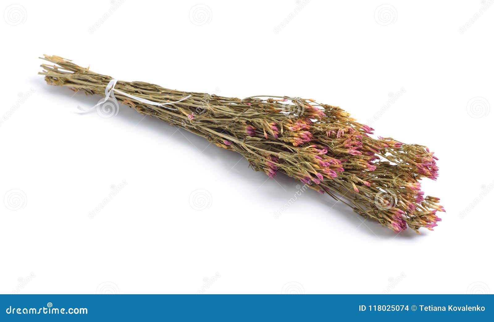 Dried Medicinal Herbs Raw Materials on White. Centauriu Stock Photo ...