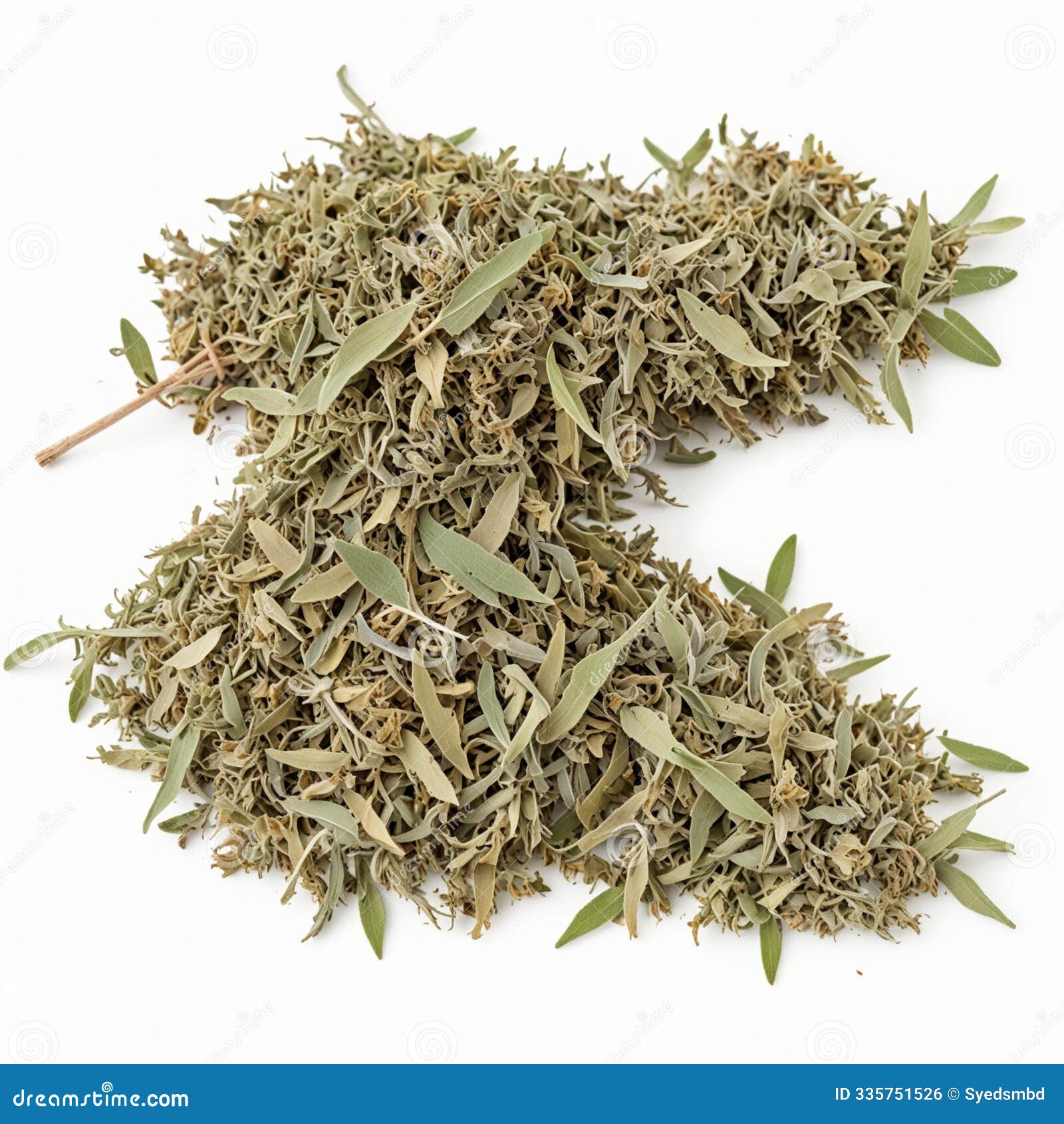 Sage Herb Salvia Officinalis Leaves Isolated On White Background. Herb ...