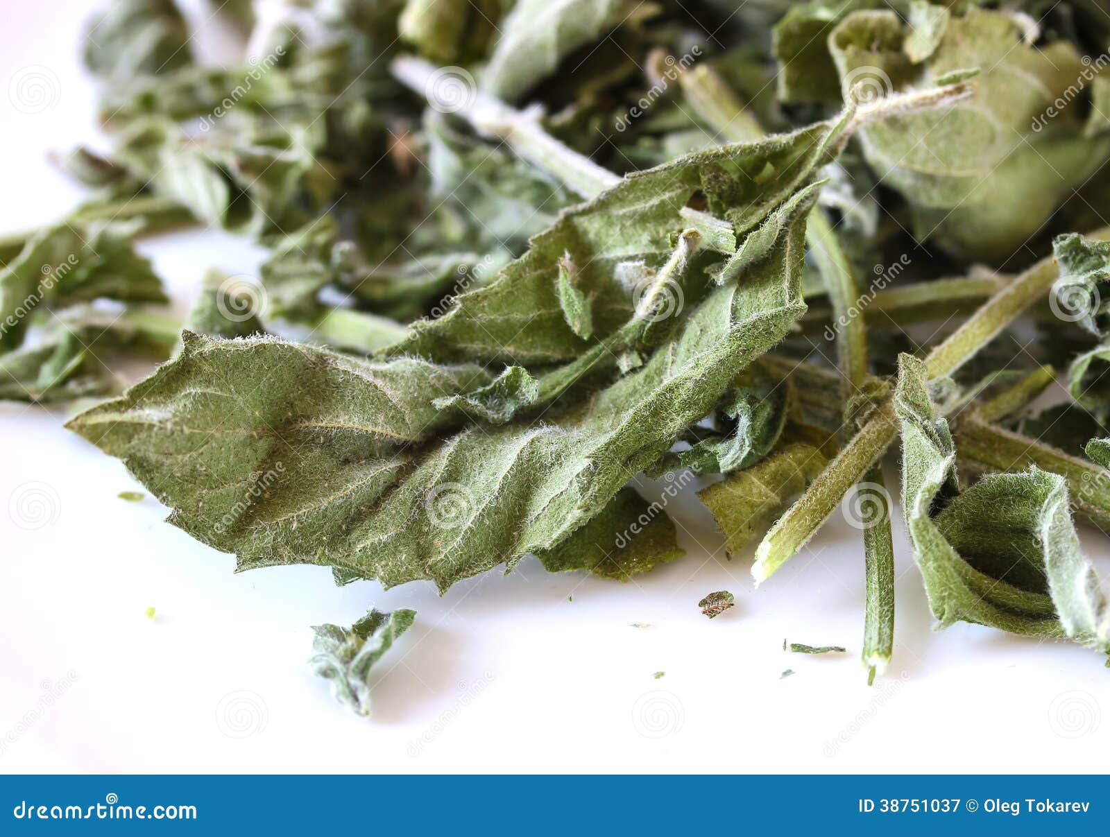 Dried mint stock image. Image of closeup, ingredient - 38751037