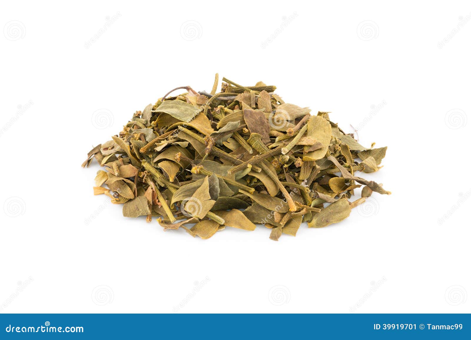 Dried Mistletoe stock image. Image of viscum, plants - 39919701