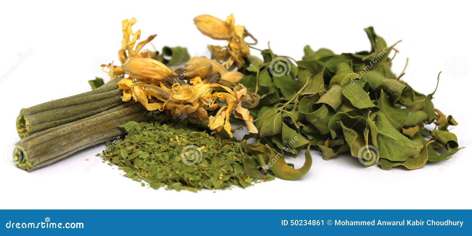 Dried Moringa with Leaves and Flower Stock Image - Image of oleifera ...