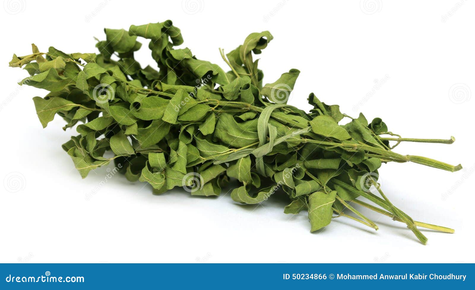 Dried moringa leaves stock photo. Image of kelor, marango - 50234866