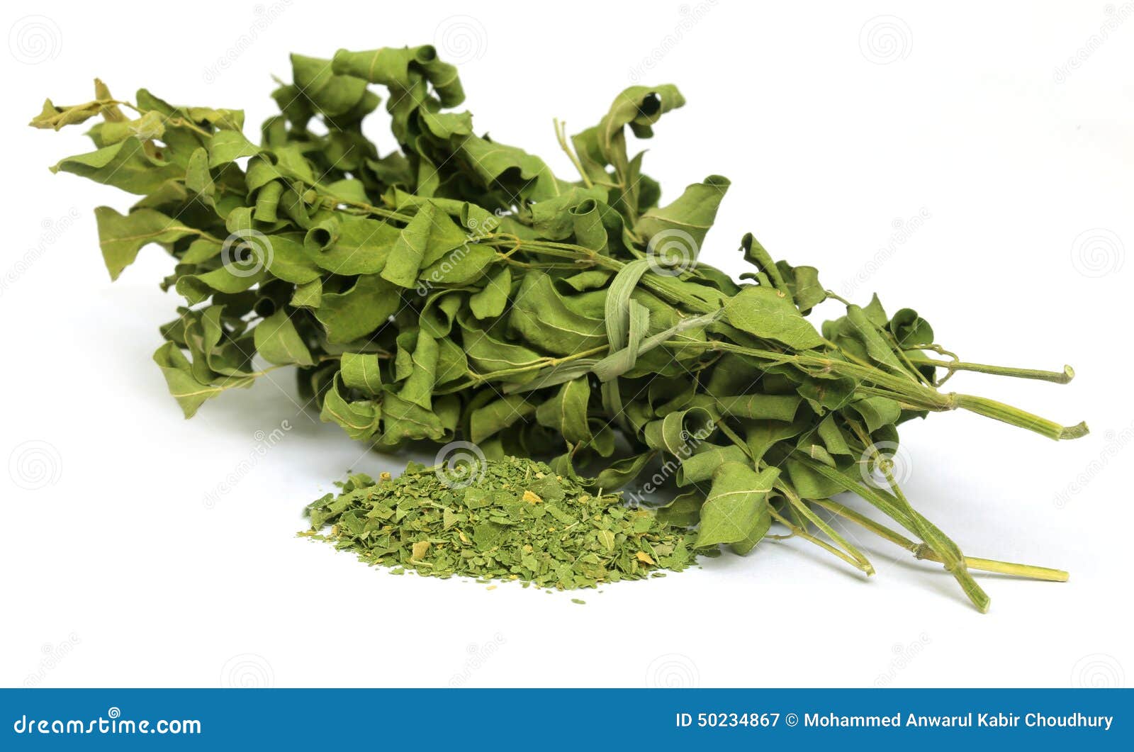 Dried moringa leaves stock image. Image of medicine, fresh - 50234867