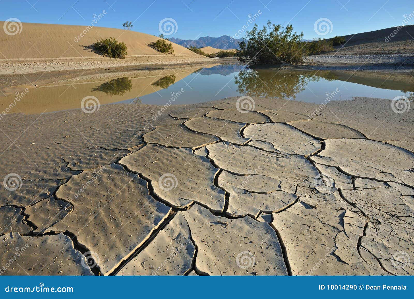 Dried Mud stock photo. Image of valley, california, desert - 10014290