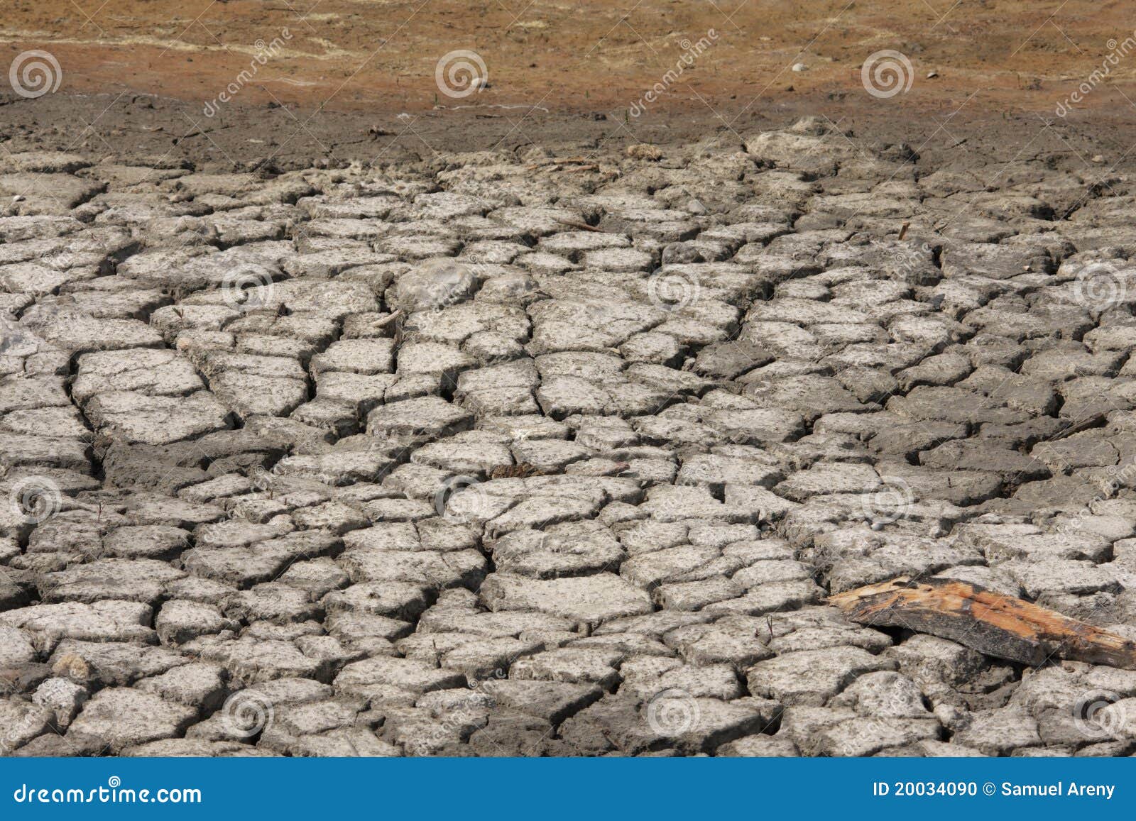 Dried mud stock photo. Image of climate, camargue, sedimentary - 20034090
