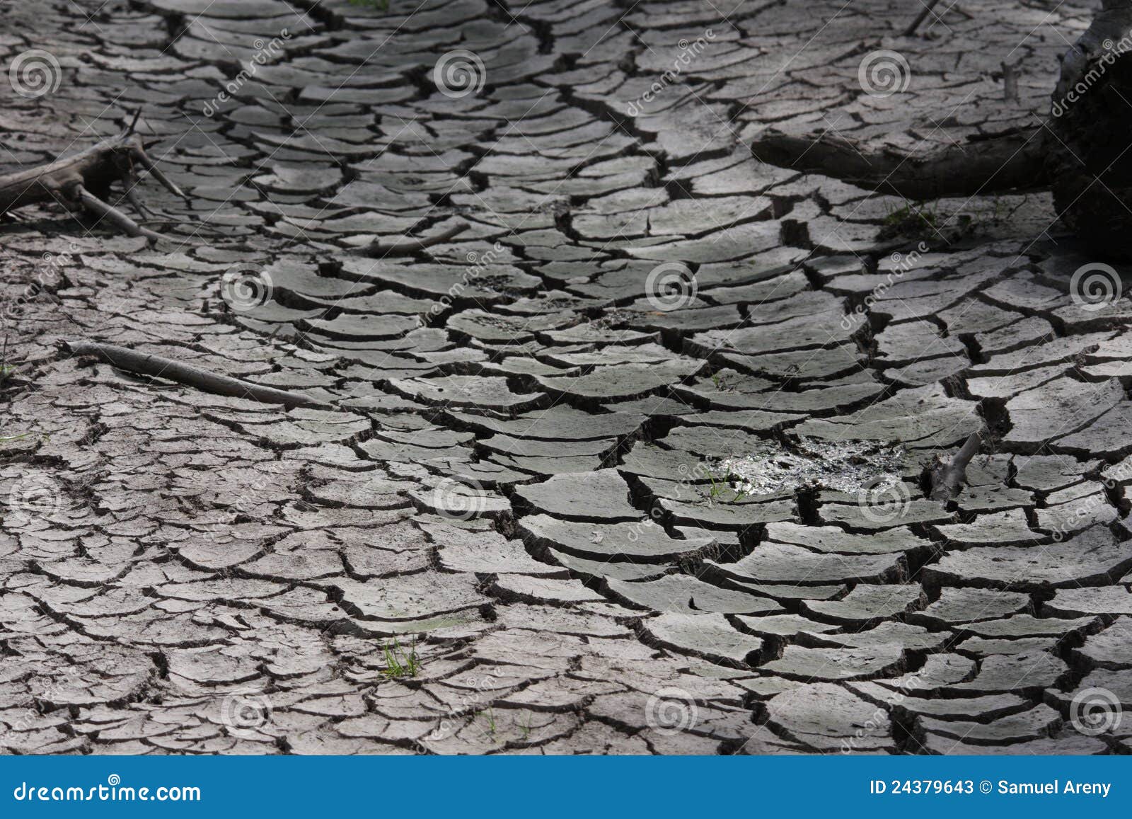 Dried mud stock image. Image of dried, crack, geology - 24379643