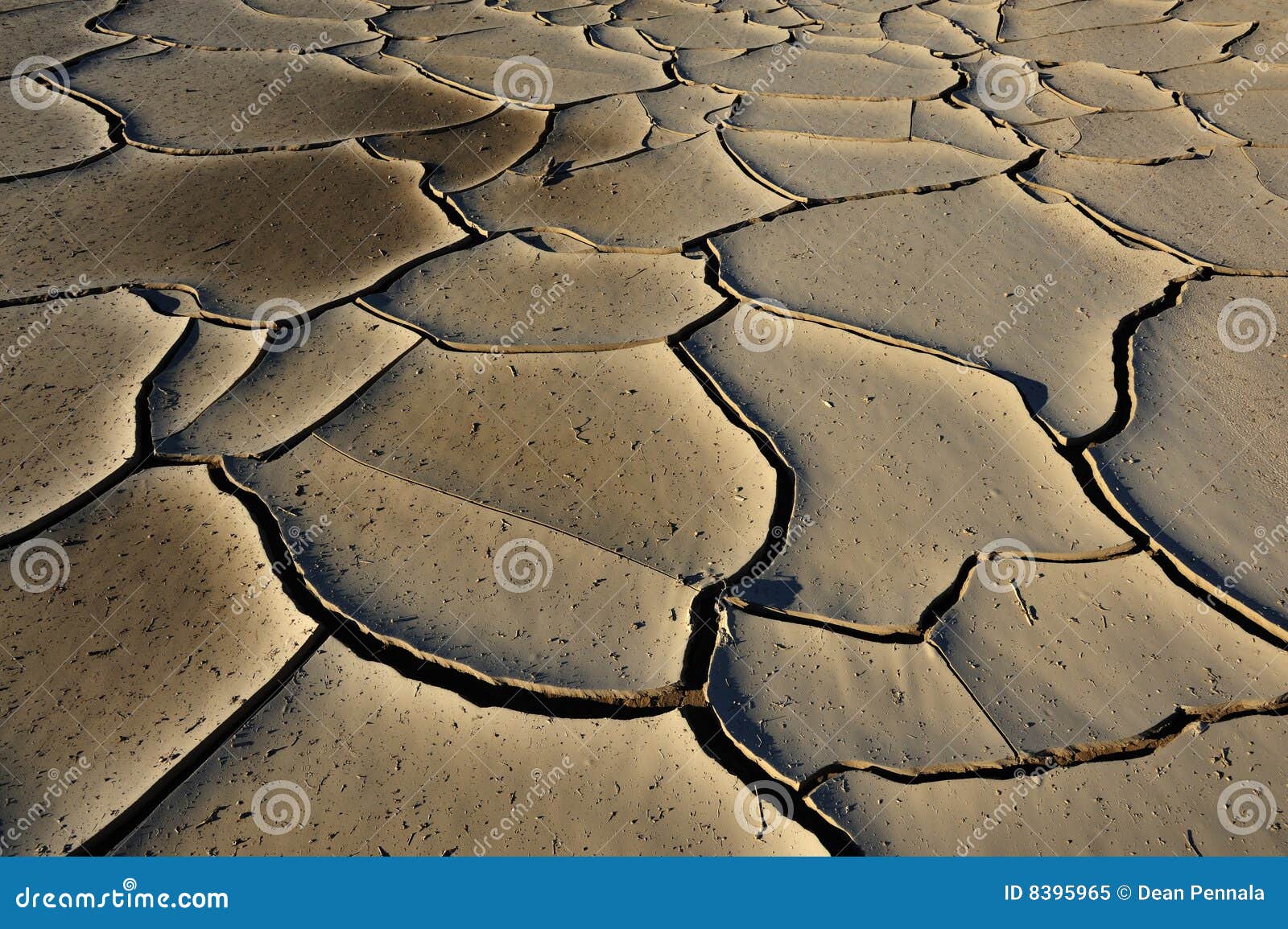 Dried Mud stock image. Image of cracks, pattern, landscape - 8395965
