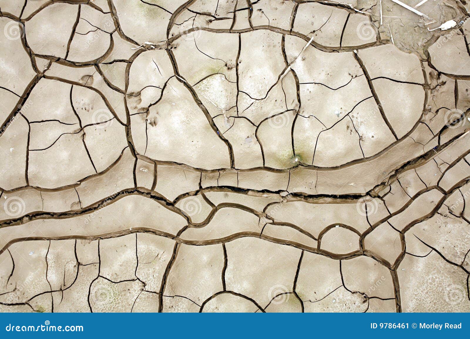 Dried mud stock image. Image of earth, dirt, ground, pattern - 9786461