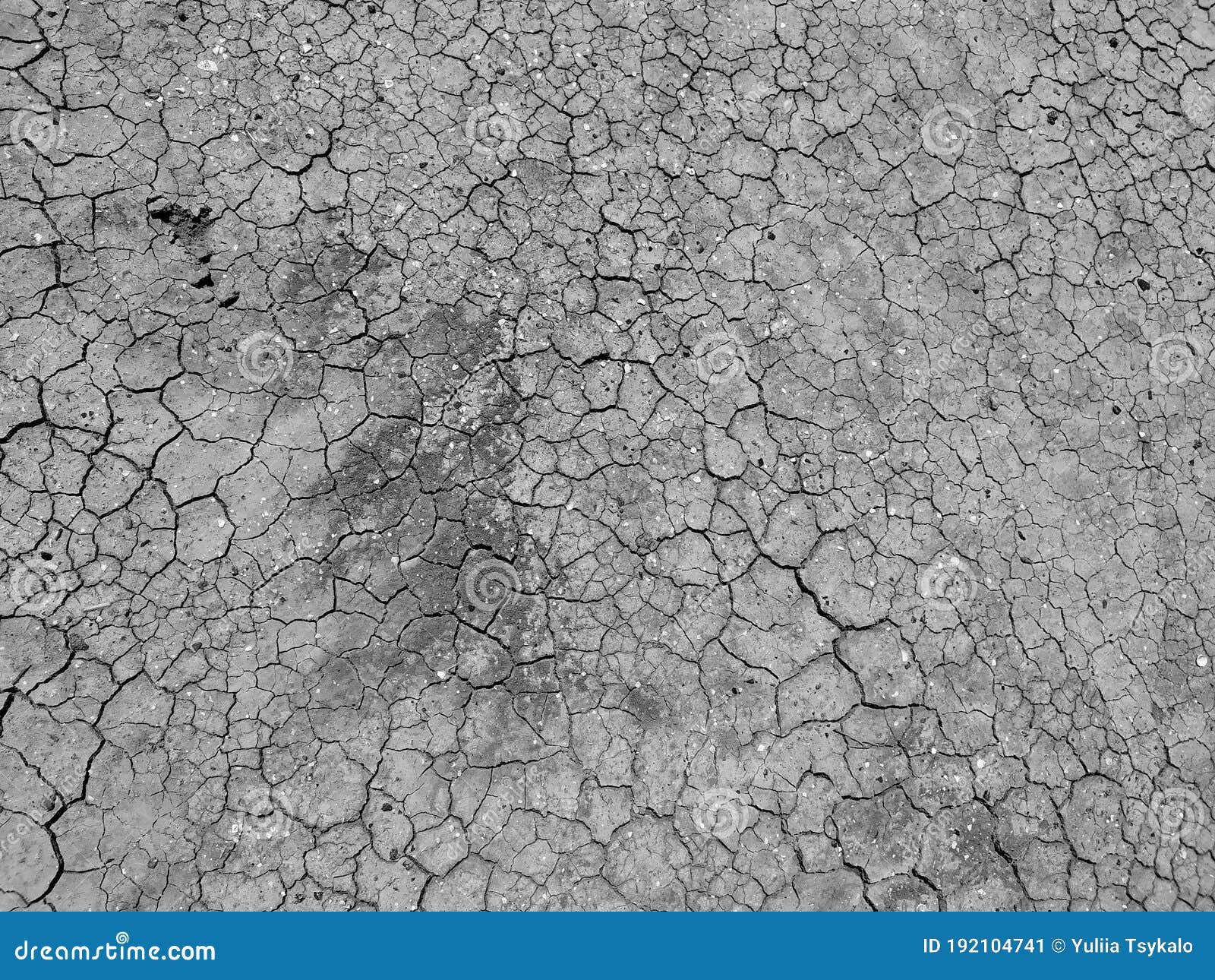 Dried mud background. stock image. Image of black, dried - 192104741