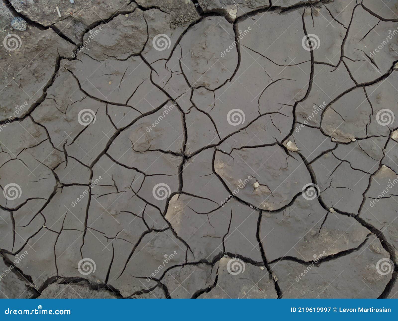 Dried Mud with Cracks Closeup Photo Texture and Background Stock Image ...