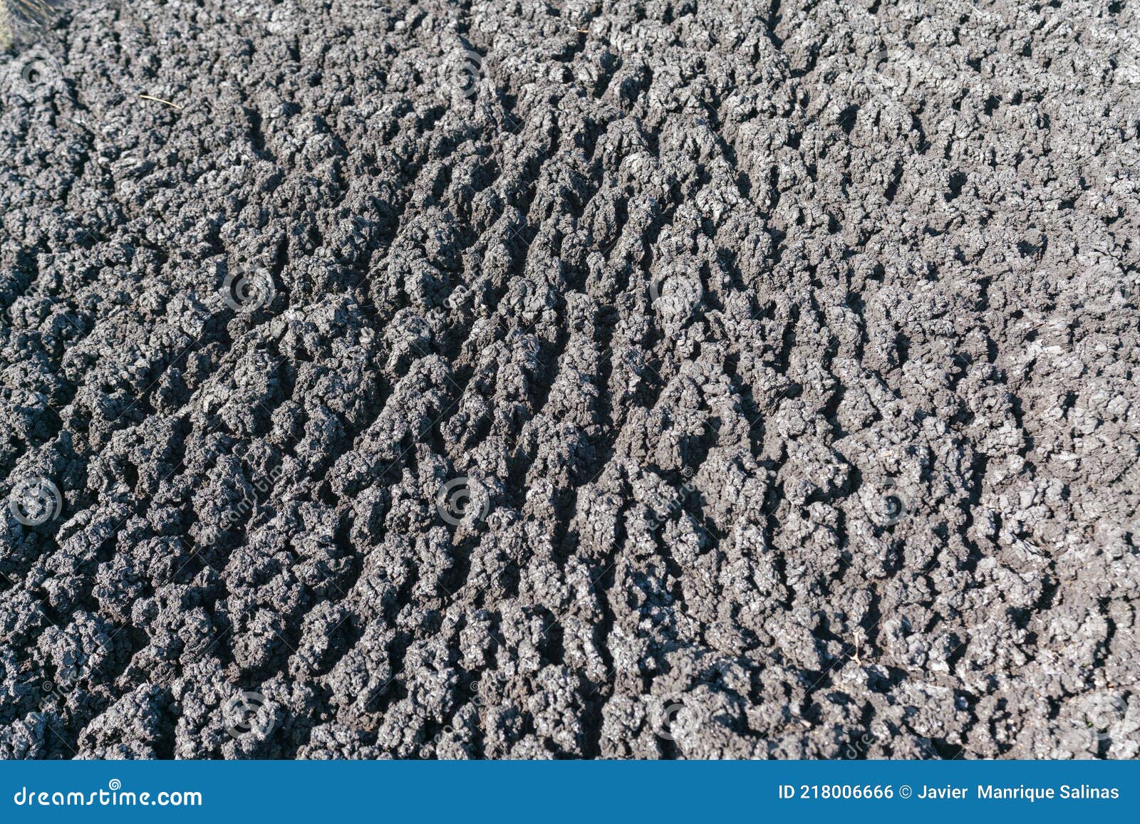 Dried mud with cracks stock photo. Image of uneven, surface - 218006666