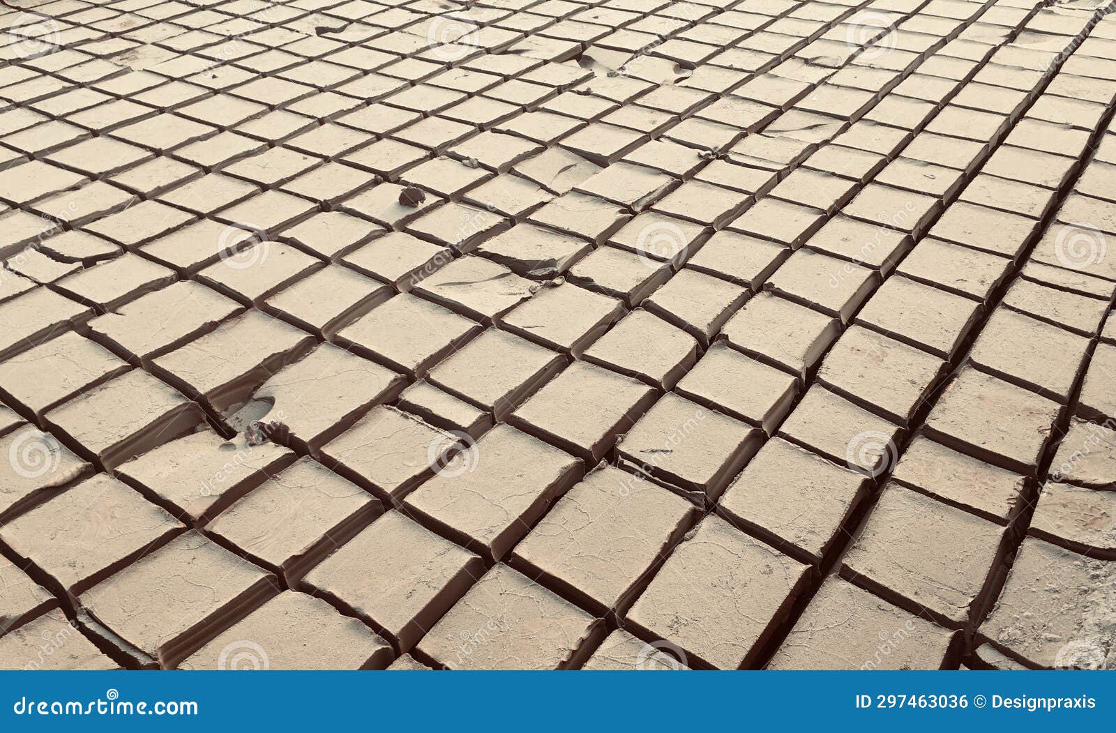 Dried Mud Cut in Square Blocks - Stock Image Stock Photo - Image of ...