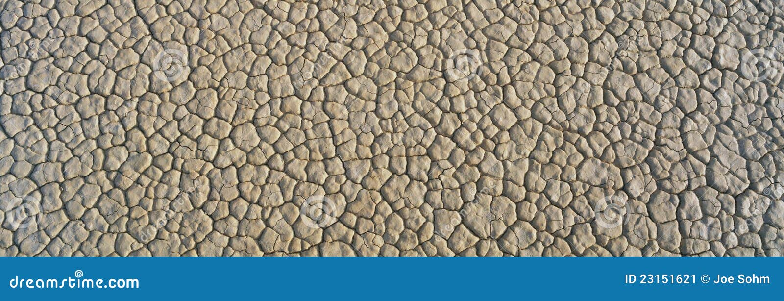 846 Mud Forms Stock Photos - Free & Royalty-Free Stock Photos from ...