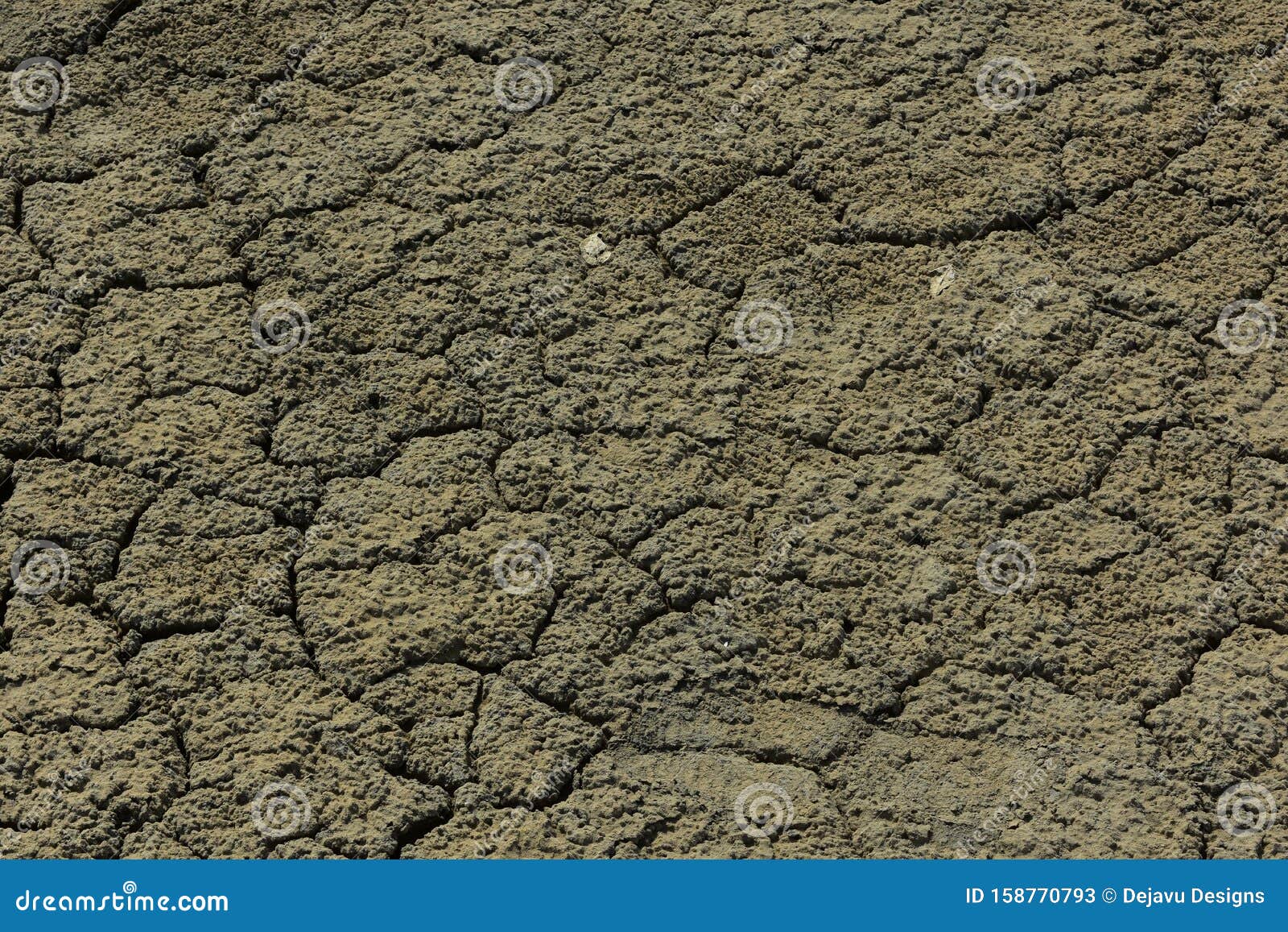 Dried Mud Flats at the Spanish Lagoon in Aruba Stock Image - Image of ...