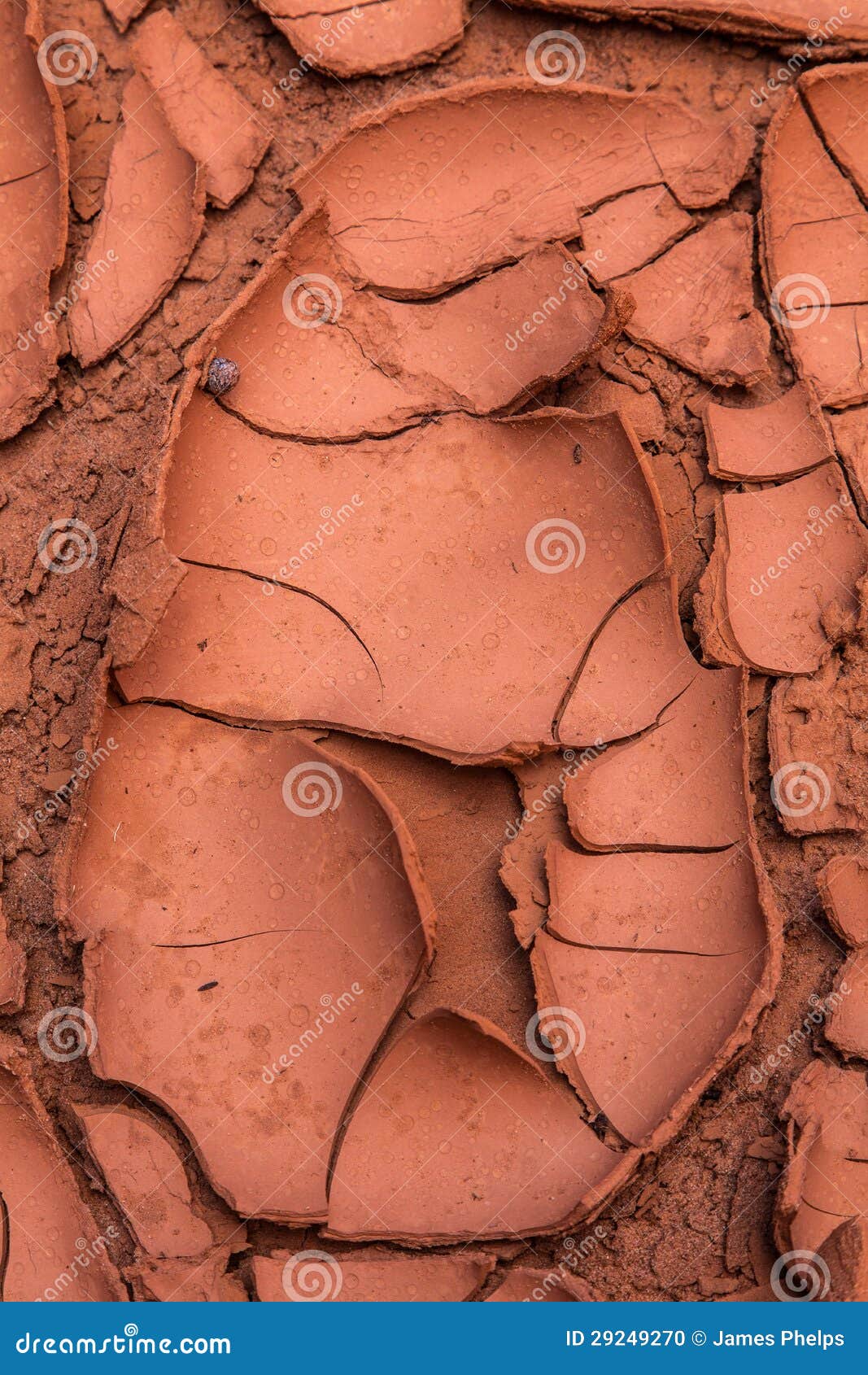 Dried Mud Pattern in Desert Canyon Stock Photo - Image of background ...