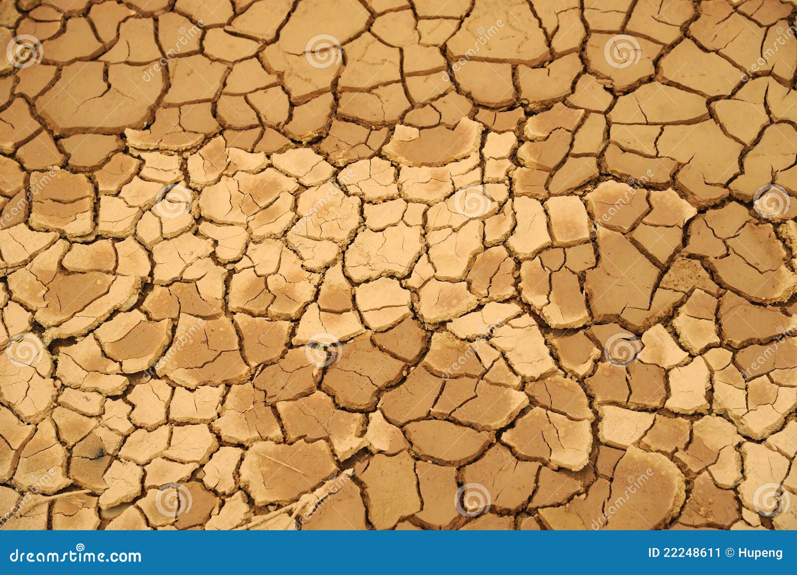 Dried mud texture stock image. Image of desert, card - 22248611