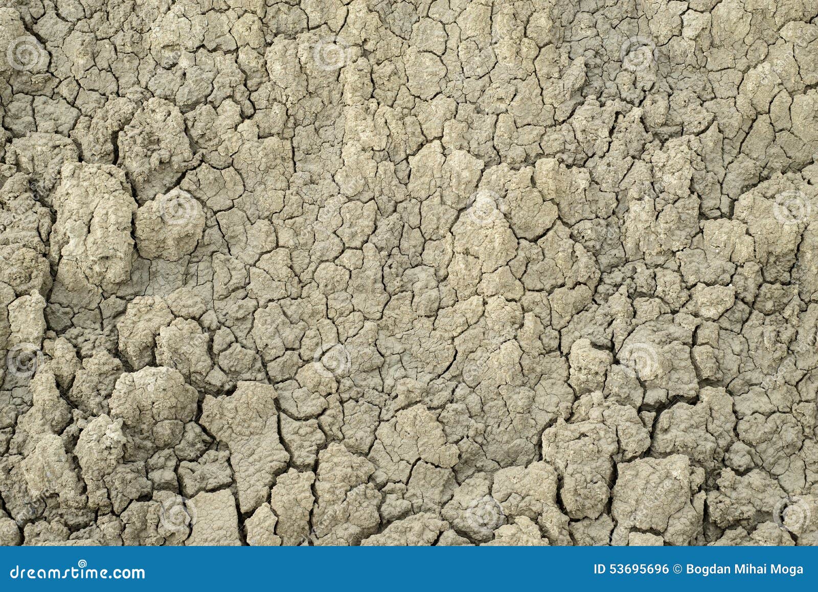 Dried mud texture one stock photo. Image of resolution - 53695696