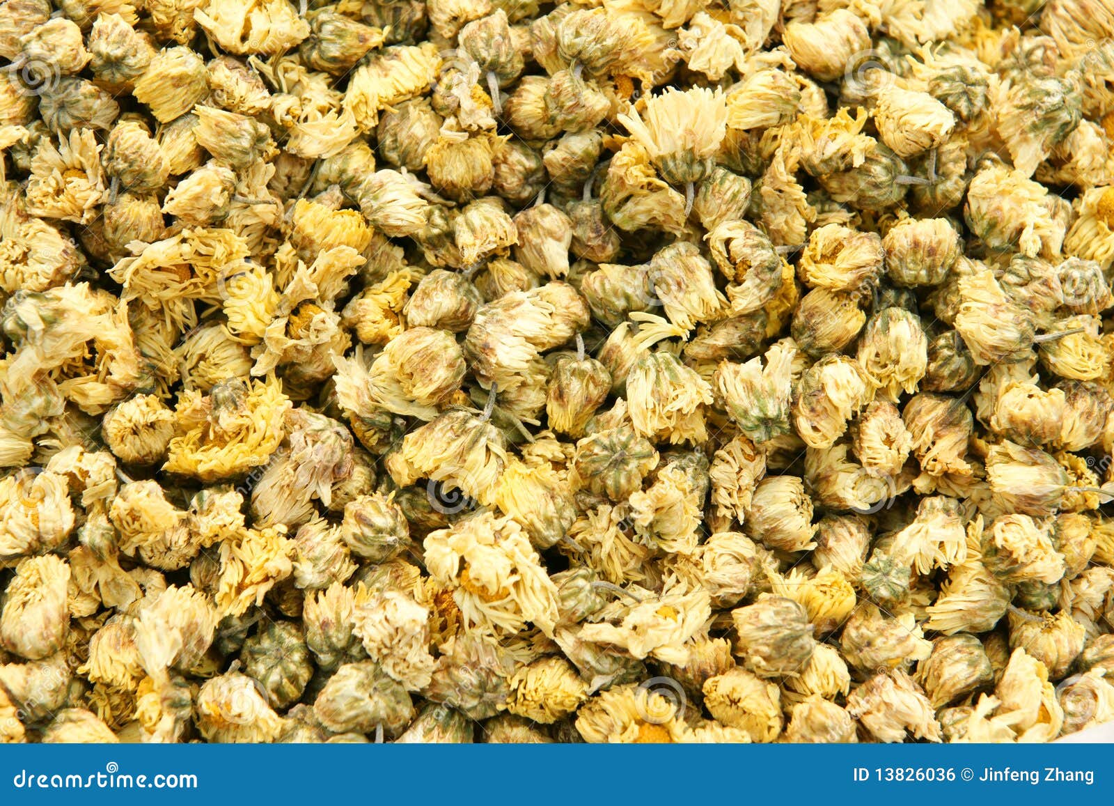 Dried mum flower stock photo. Image of close, color, dried - 13826036