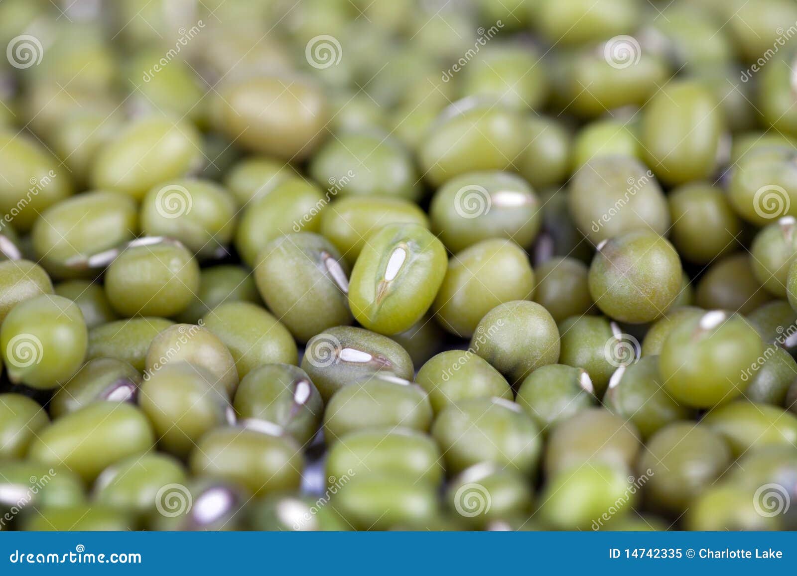 Dried Mung Beans stock image. Image of healthy, nutritious - 14742335