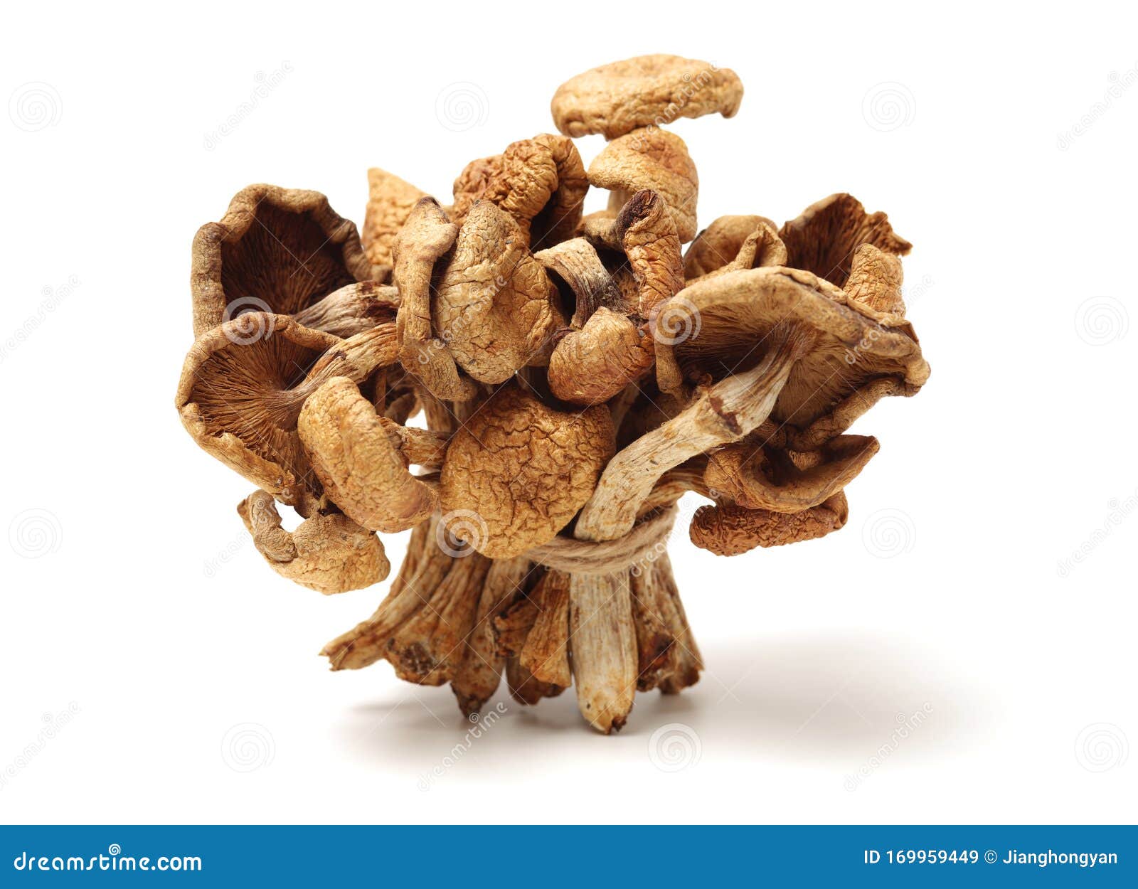 Dried Mushroom Royalty-Free Stock Photography | CartoonDealer.com ...