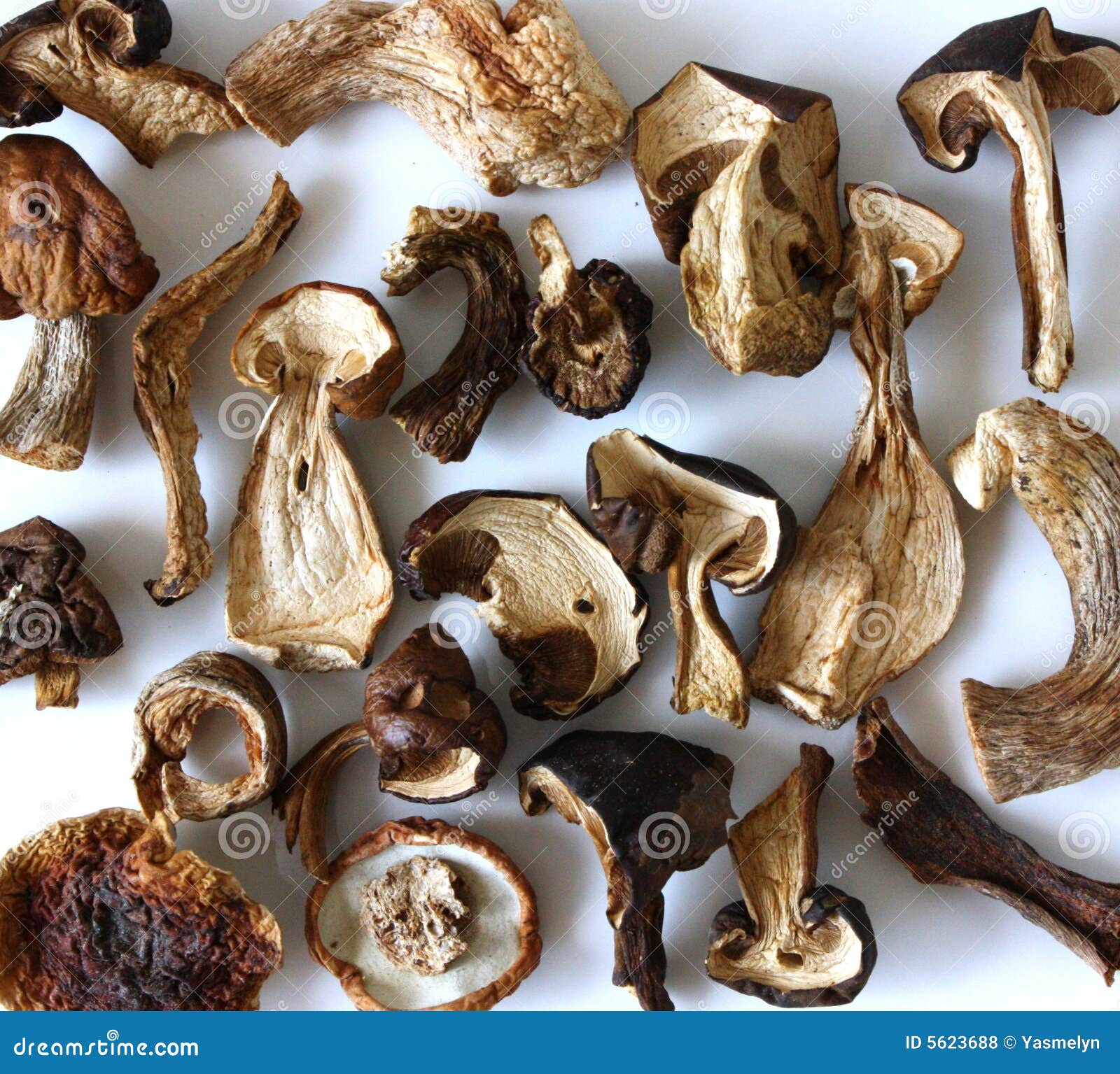 Dried Mushrooms Stock Photo | CartoonDealer.com #7206306