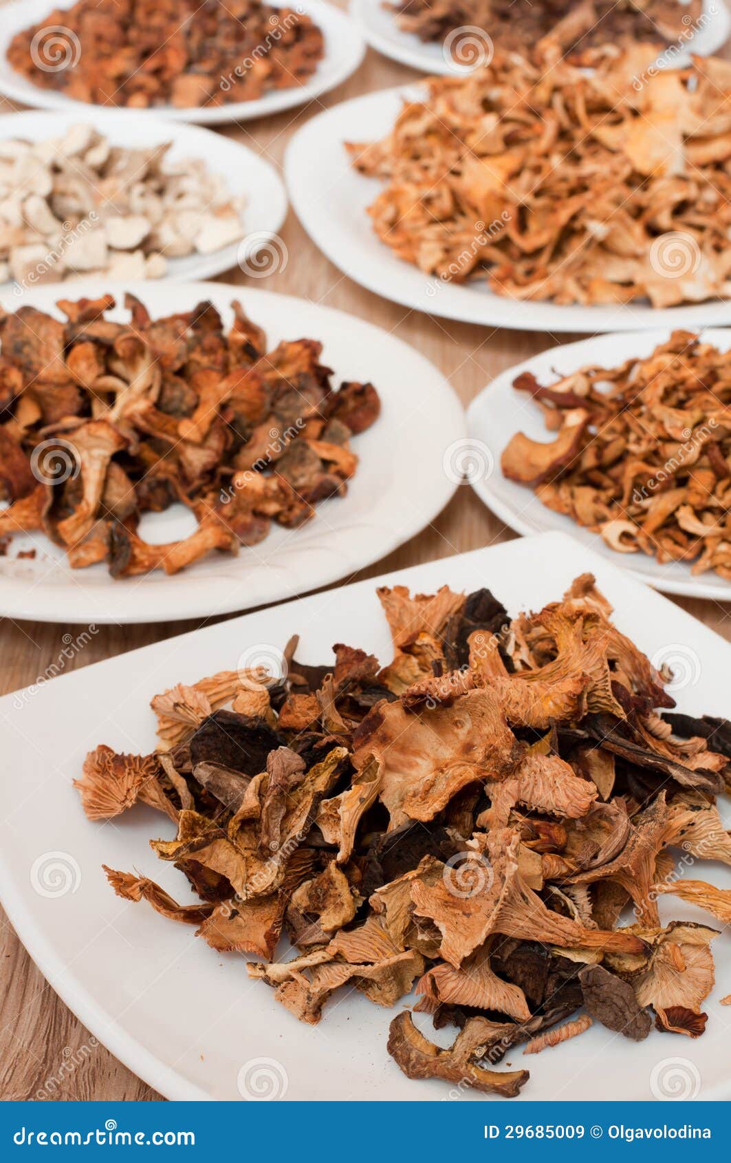 Dried Mushrooms of Different Varieties Stock Image - Image of grade ...