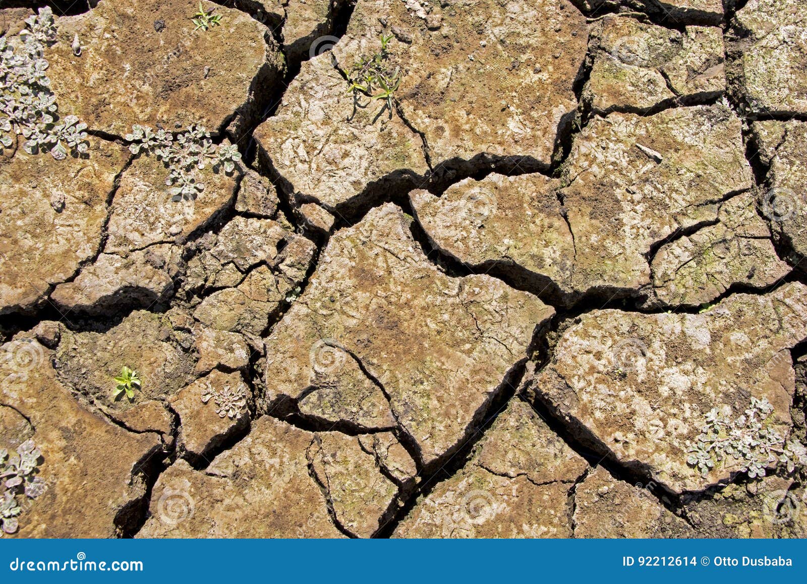 Dried ocean bed mud stock photo. Image of soil, pattern - 92212614