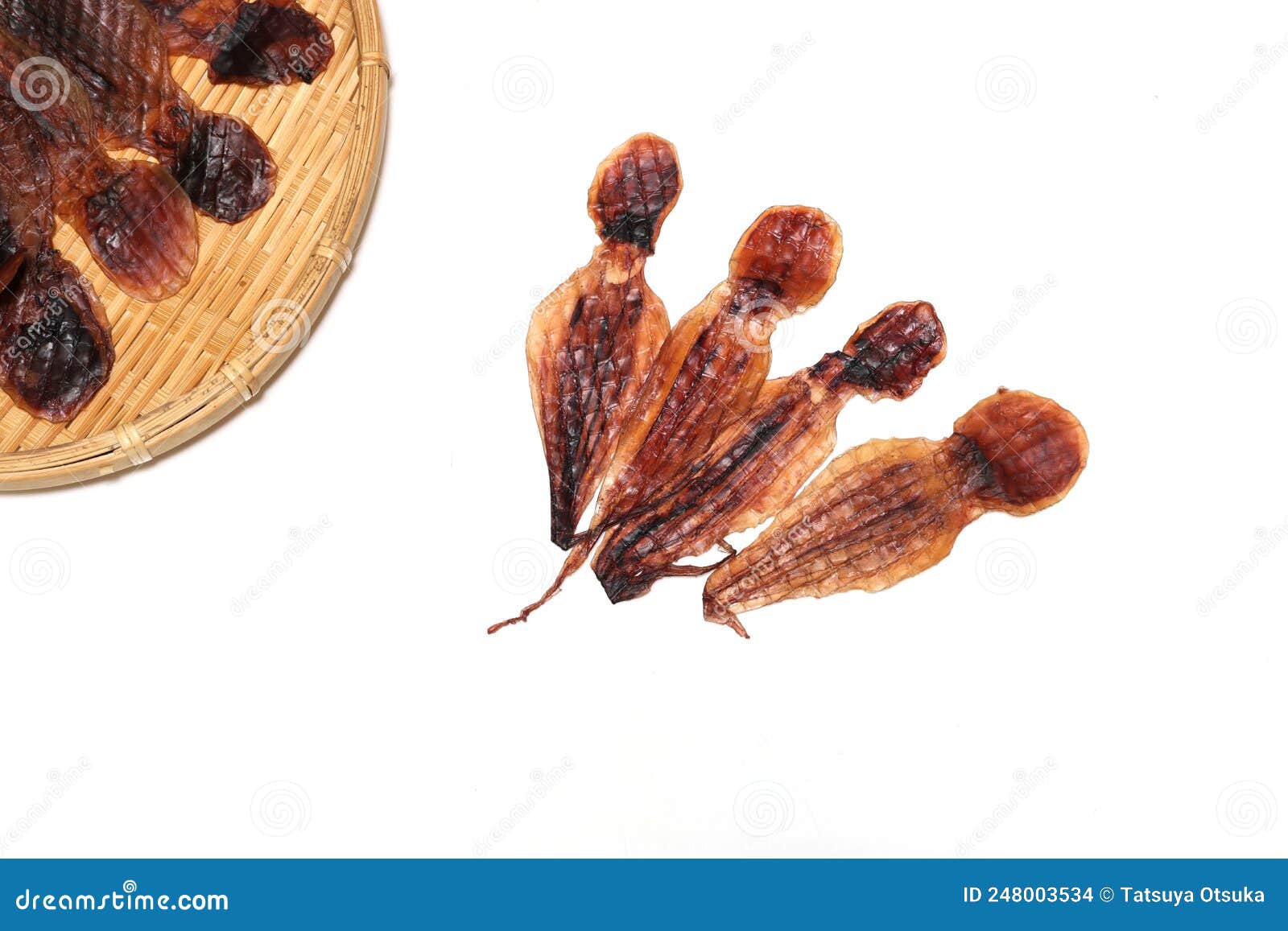 Dried Octopus Isolated on a White Backgrouund. Stock Photo - Image of ...