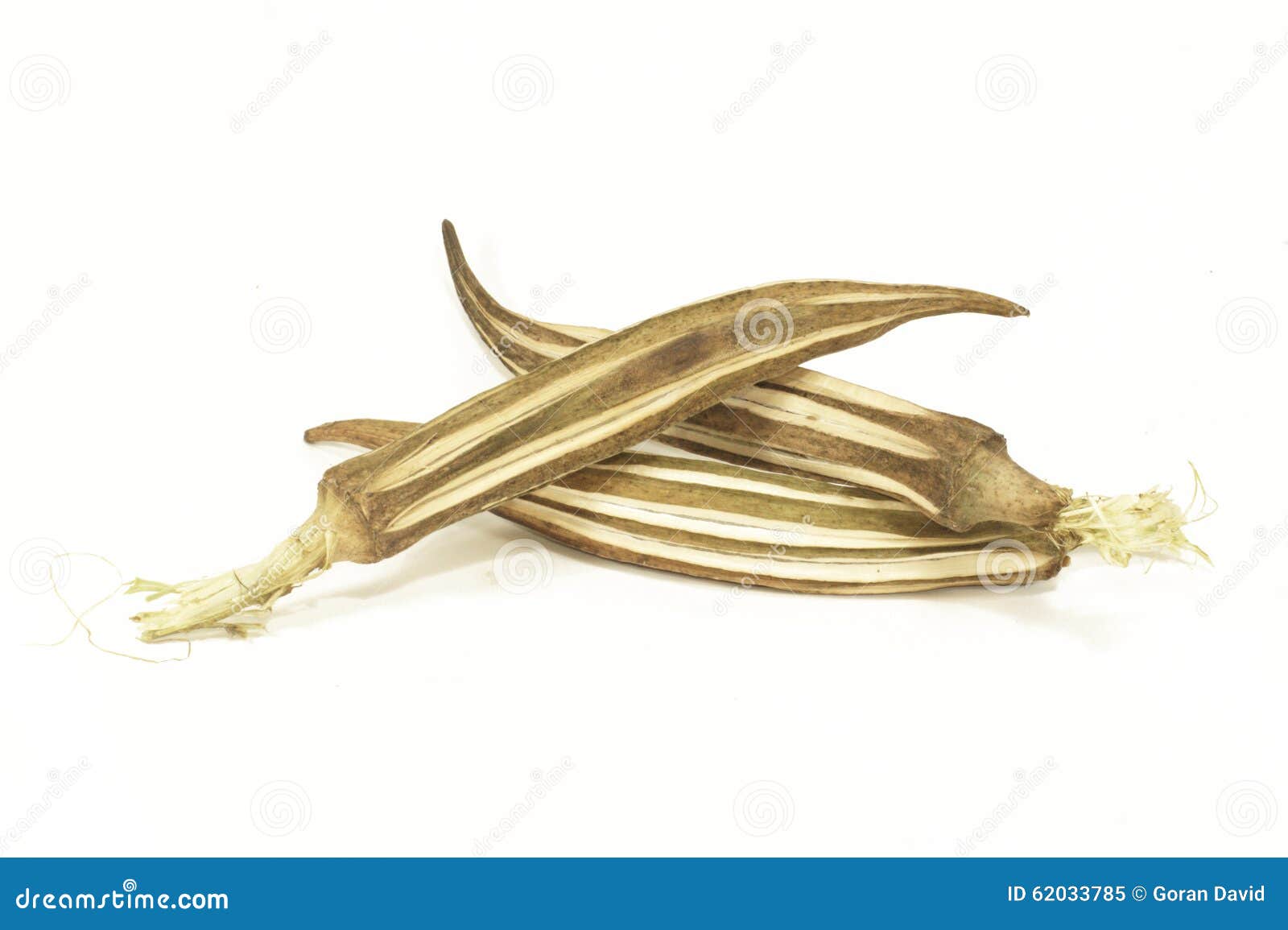 Dried okra plant stock image. Image of organic, ladies - 62033785