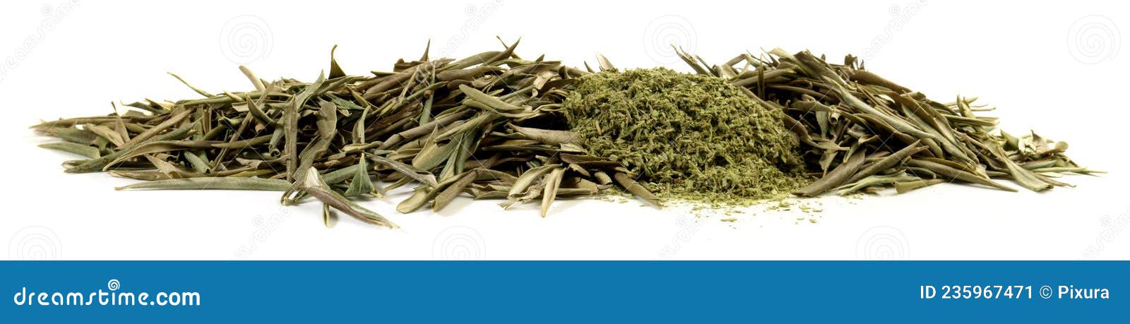 Dried Olive Leaves with Powder Isolated on White Background - Panorama ...