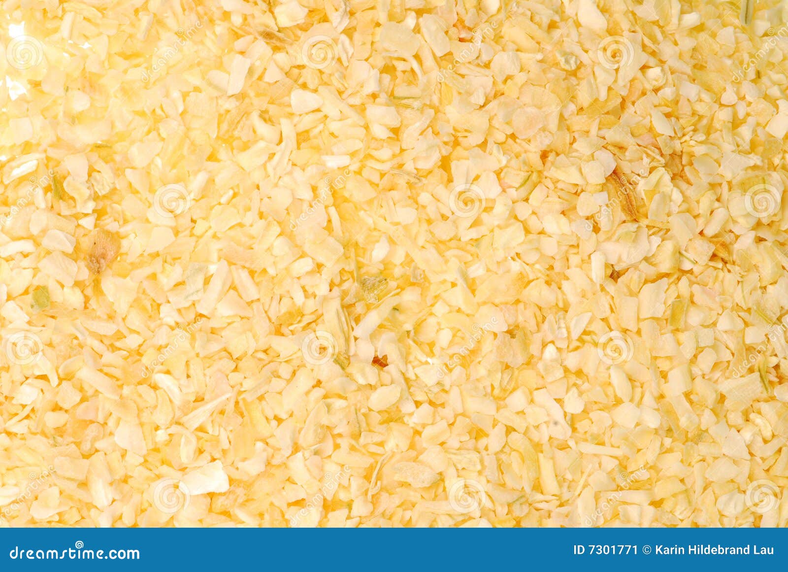 Dried Onions stock image. Image of onion, textural, layer - 7301771