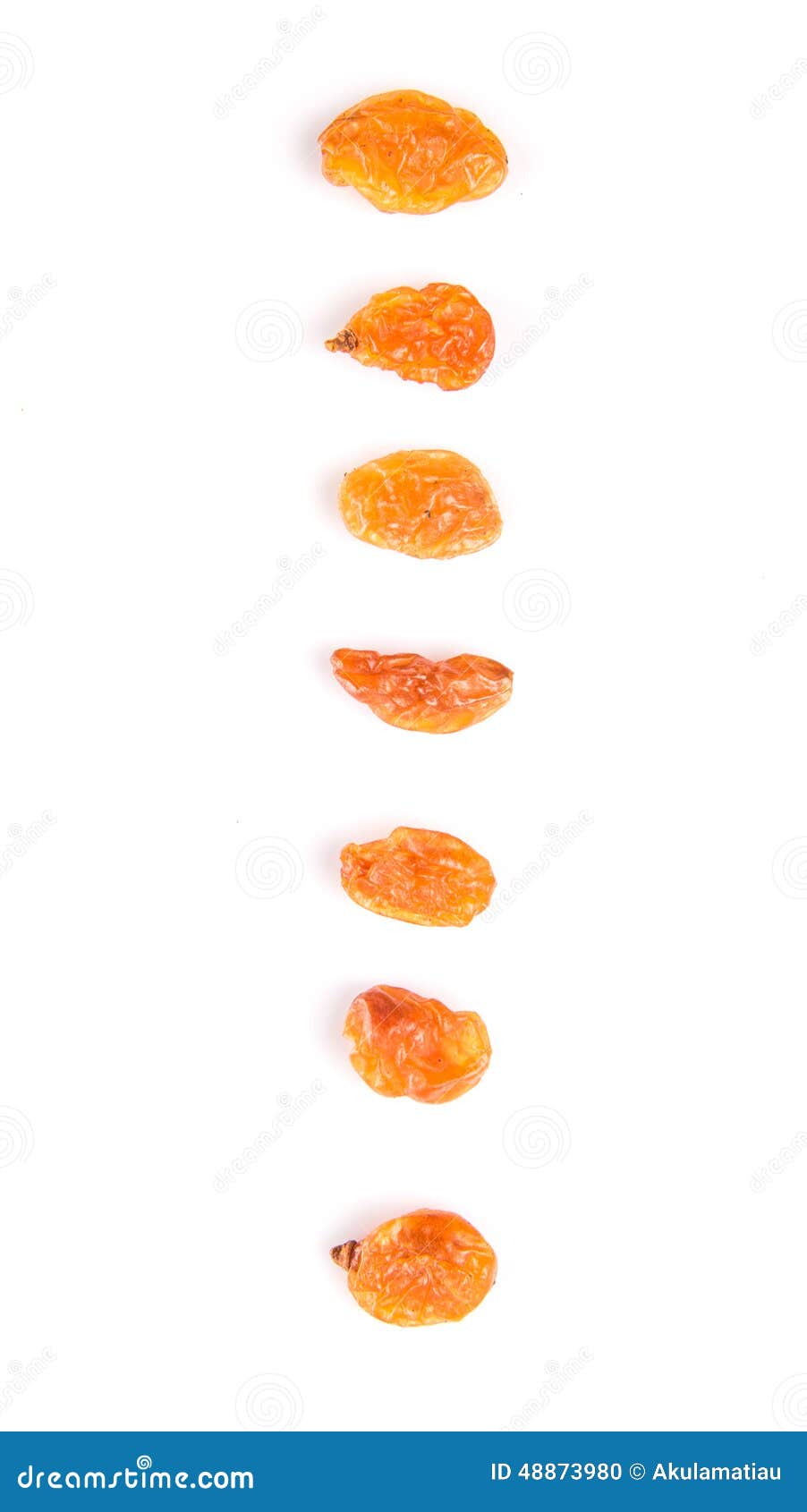 Dried Orange Colored Raisin V Stock Photo - Image of energy, food: 48873980