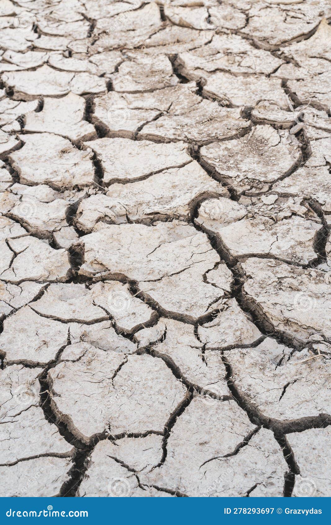 Dried Out Earth with No Water Stock Image - Image of terrain, dirt ...