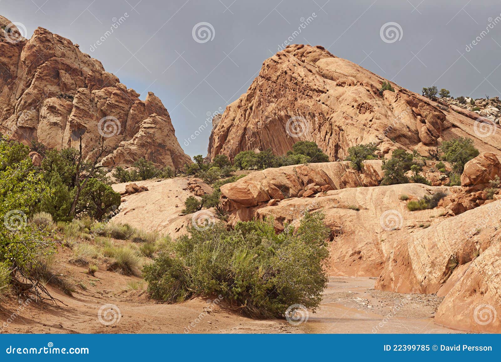 Dried Out River Bank in the Desert Stock Image - Image of water ...