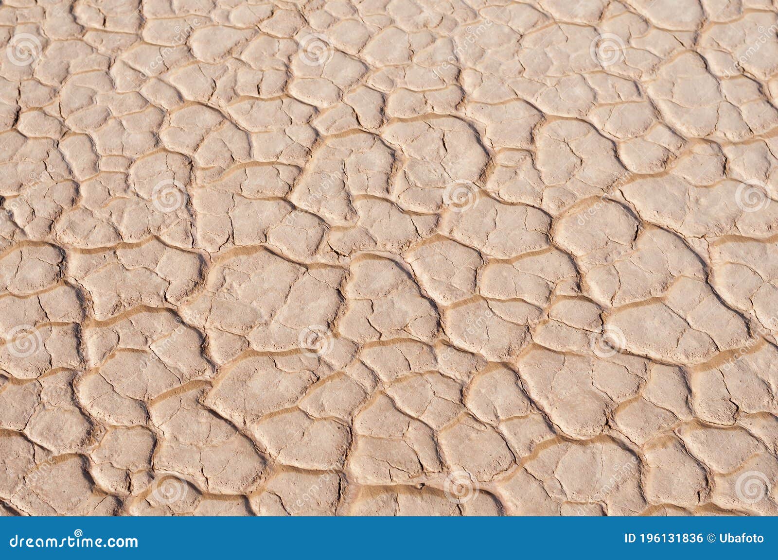 Dried out soil stock photo. Image of nature, africa - 196131836