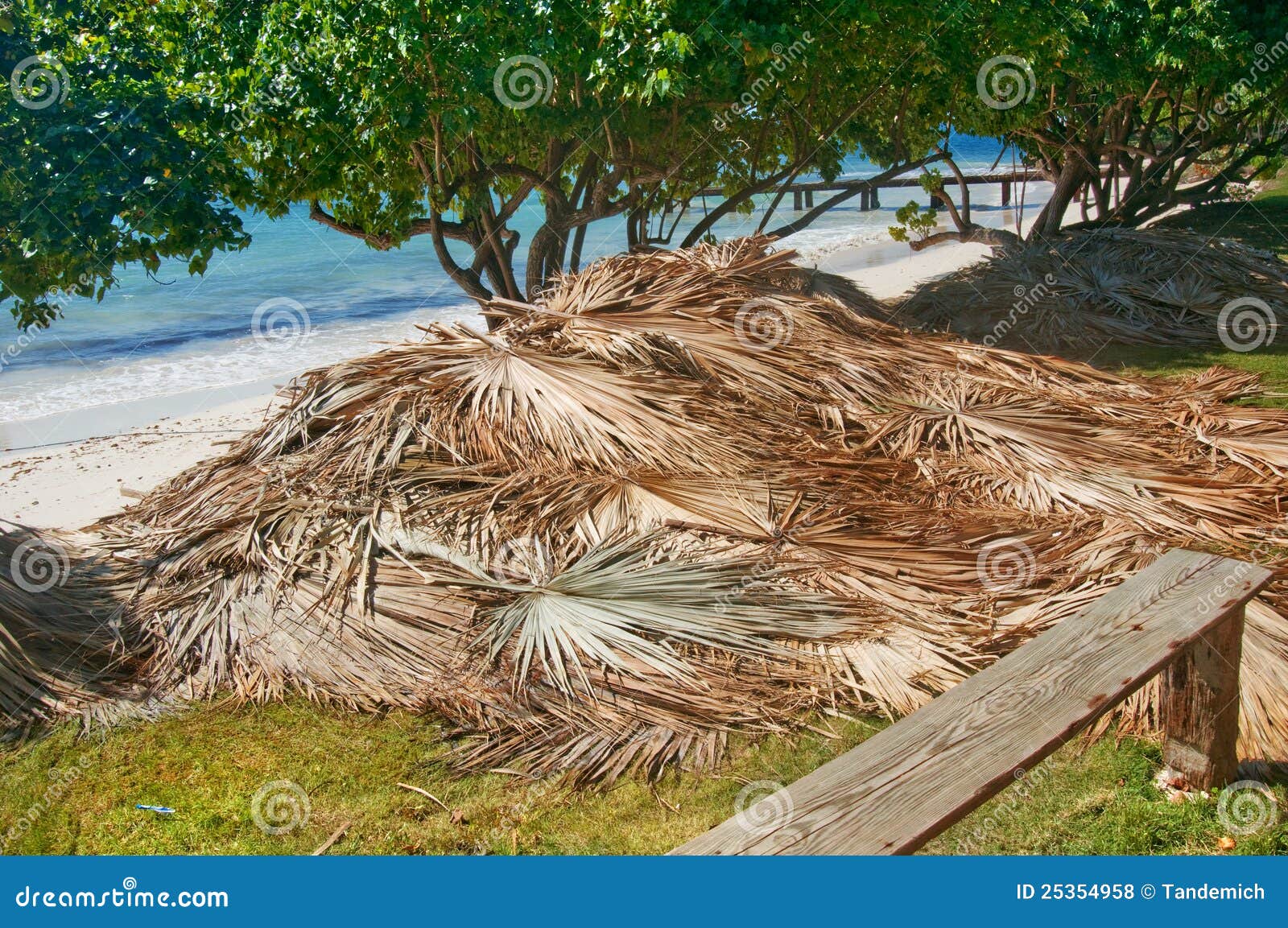 Dried palm branches stock photo. Image of tropical, retro - 25354958