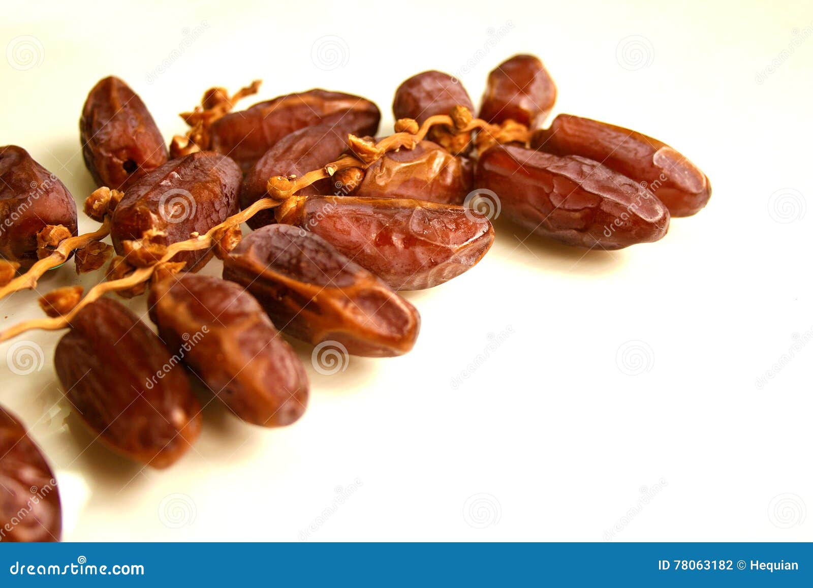 Dried Palm dates stock photo. Image of growing, fruiting - 78063182