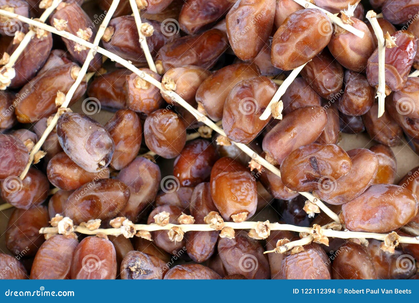 Dried Palm dates stock photo. Image of gourmet, branches - 122112394