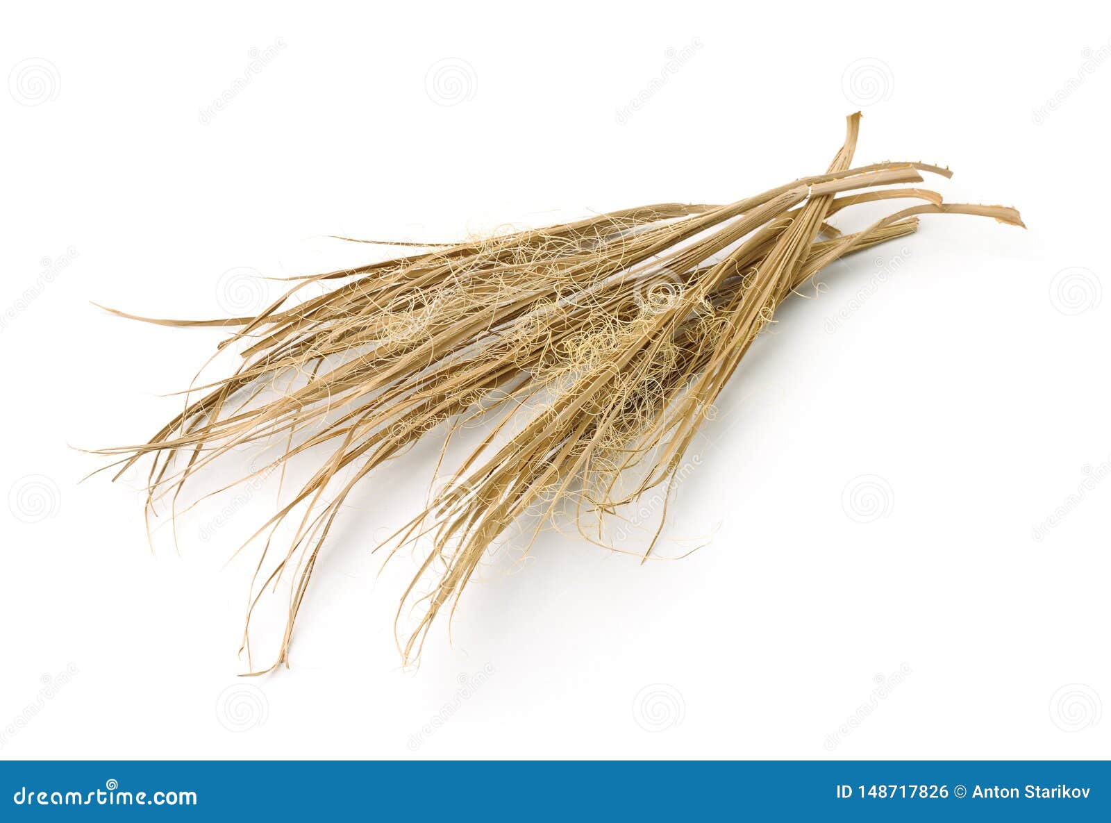 Dried palm leaves stock photo. Image of palm, ancient - 148717826 Dried palm leaves stock photo. Image of palm, ancient - 148717826