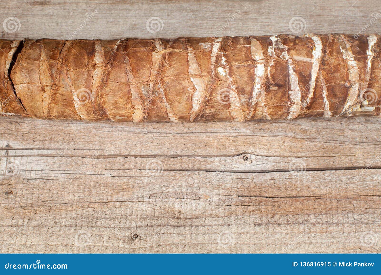Dried Palm Trunk on Old Wooden Plank Stock Image - Image of beautiful ...