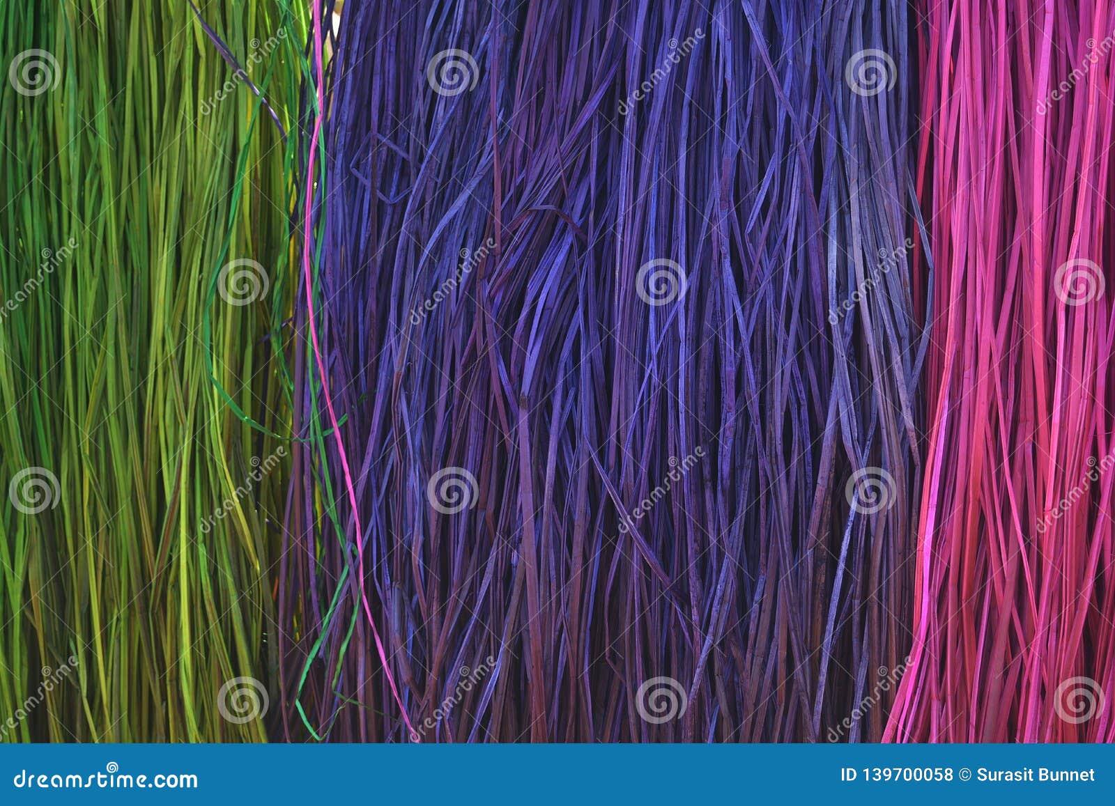 Dried papyrus stock photo. Image of beauty, pattern - 139700058