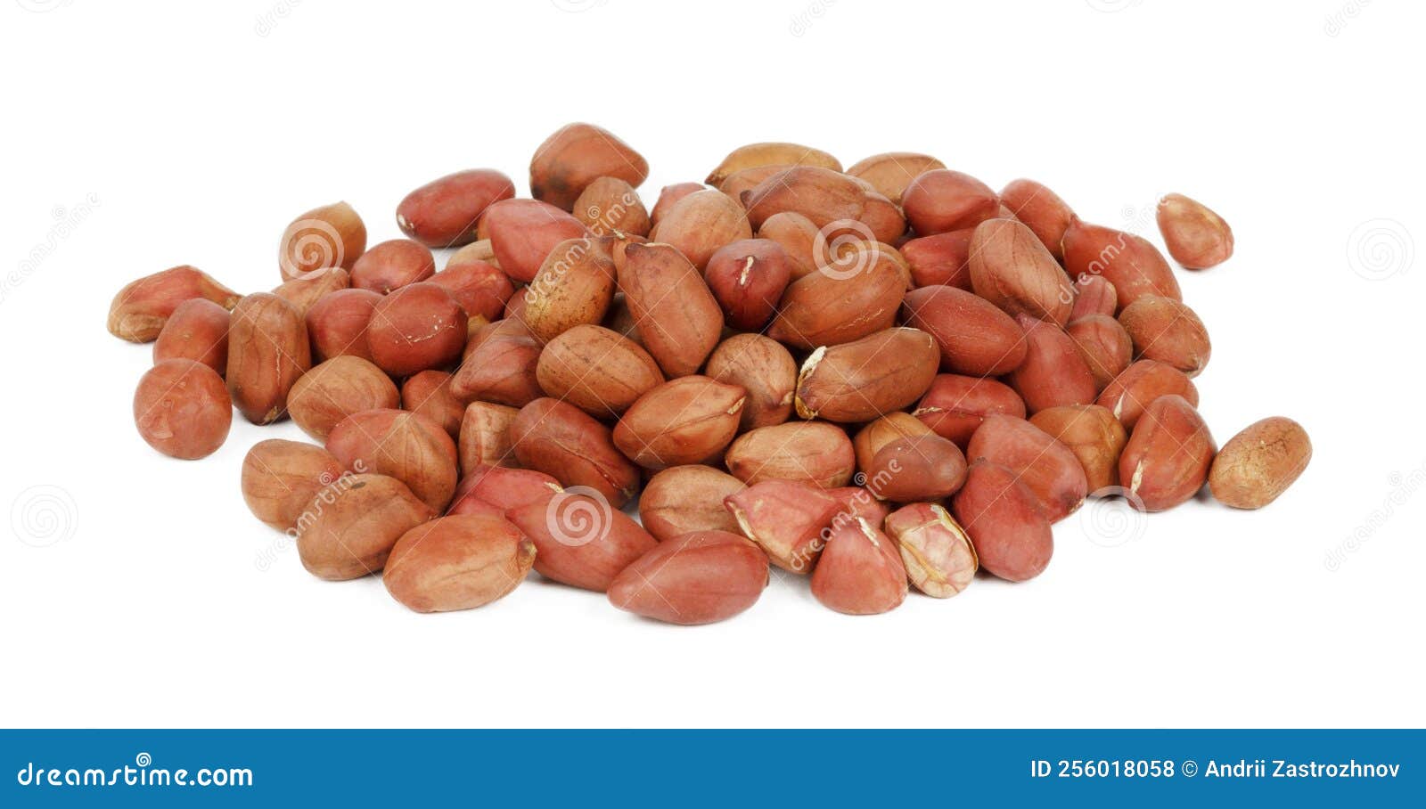 Dried Peanuts on a White Background, a Bunch of Nuts Stock Photo ...