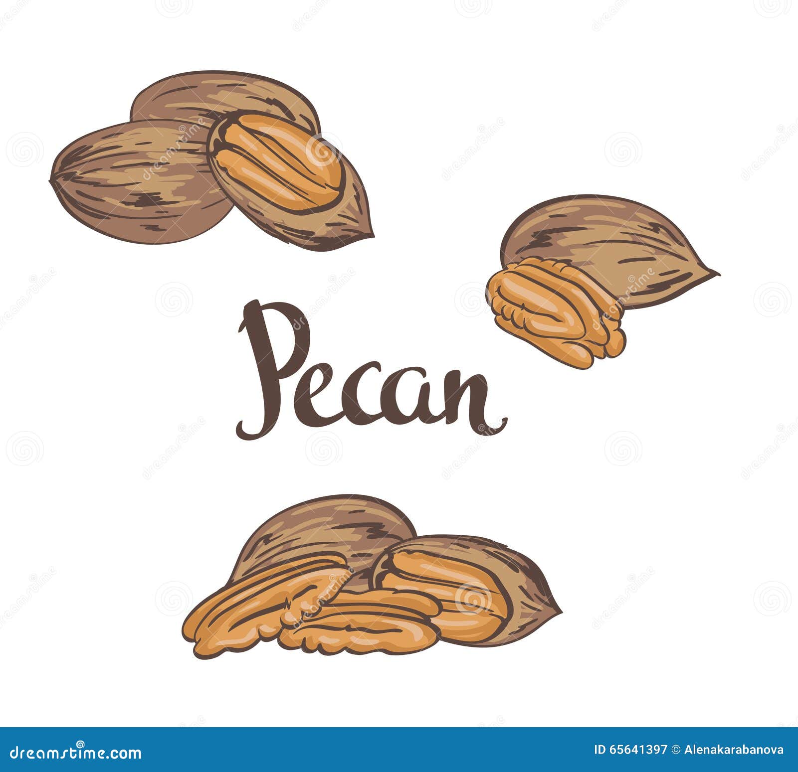 Dried Pecan Nuts Isolated On A White Background. Cartoon Vector ...
