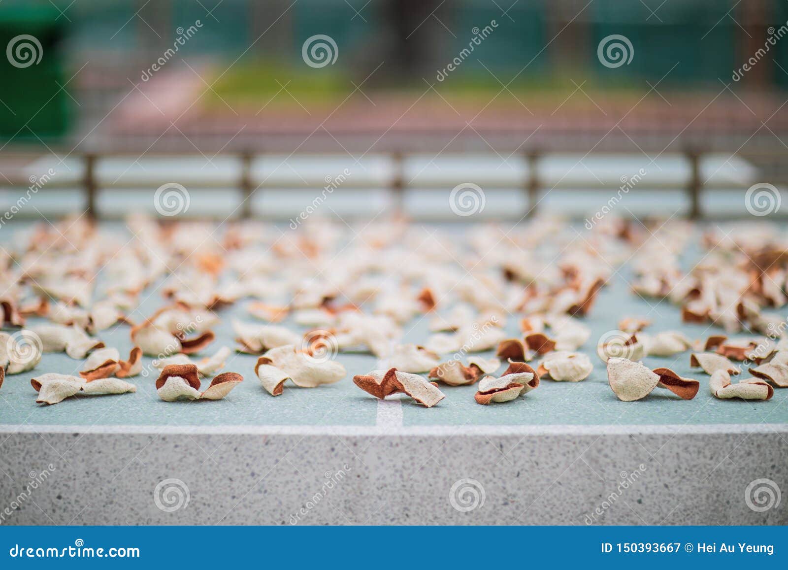 Dried peel on table stock image. Image of fresh, peel - 150393667