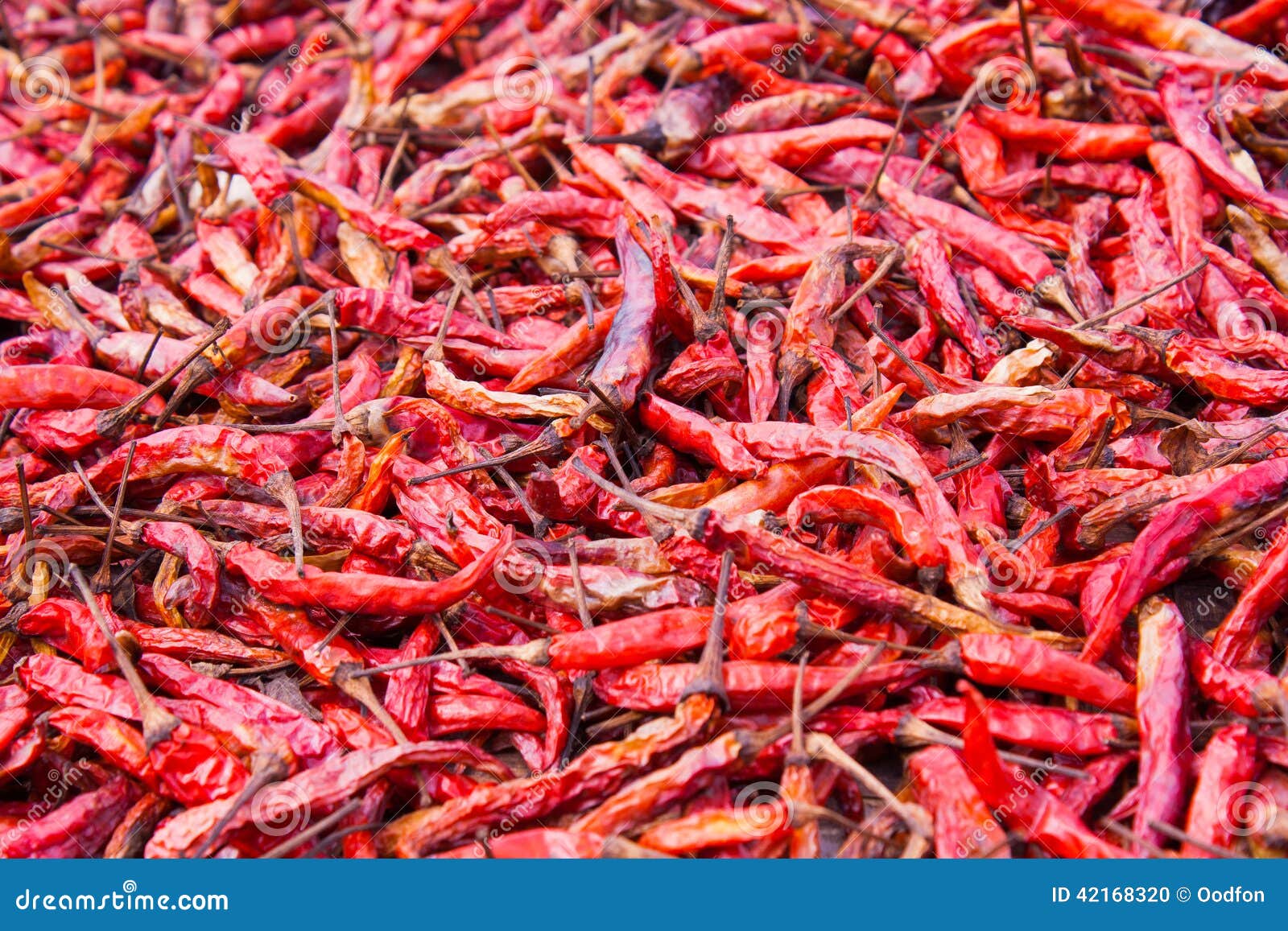 Dried pepper stock photo. Image of conceptual, paprika - 42168320