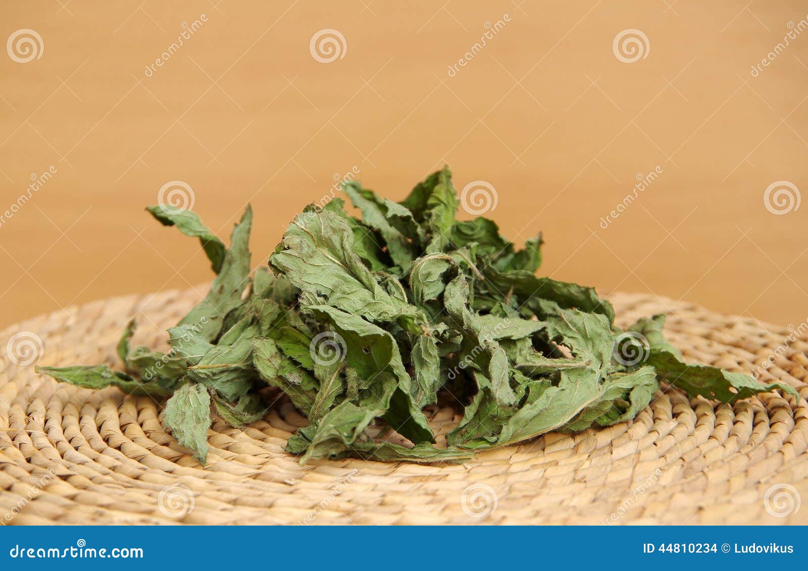 Dried Peppermint Leaves Stock Photography | CartoonDealer.com #72865544
