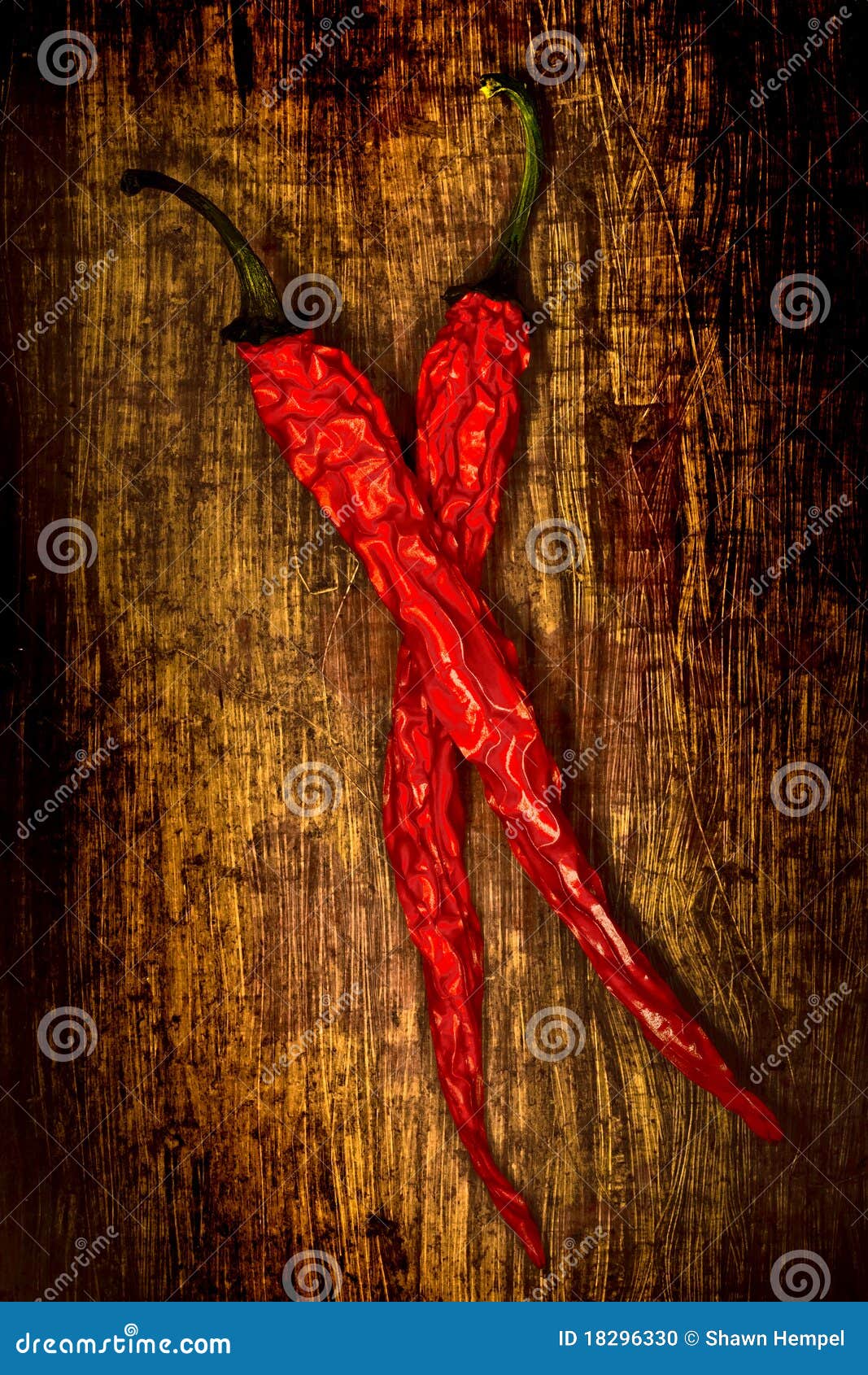 Dried pepperoni stock photo. Image of pepperoni, dried - 18296330