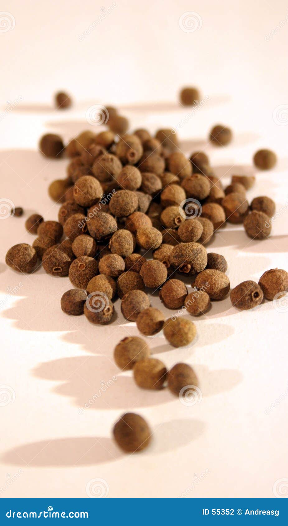 Dried peppers stock photo. Image of balls, pepper, dried - 55352