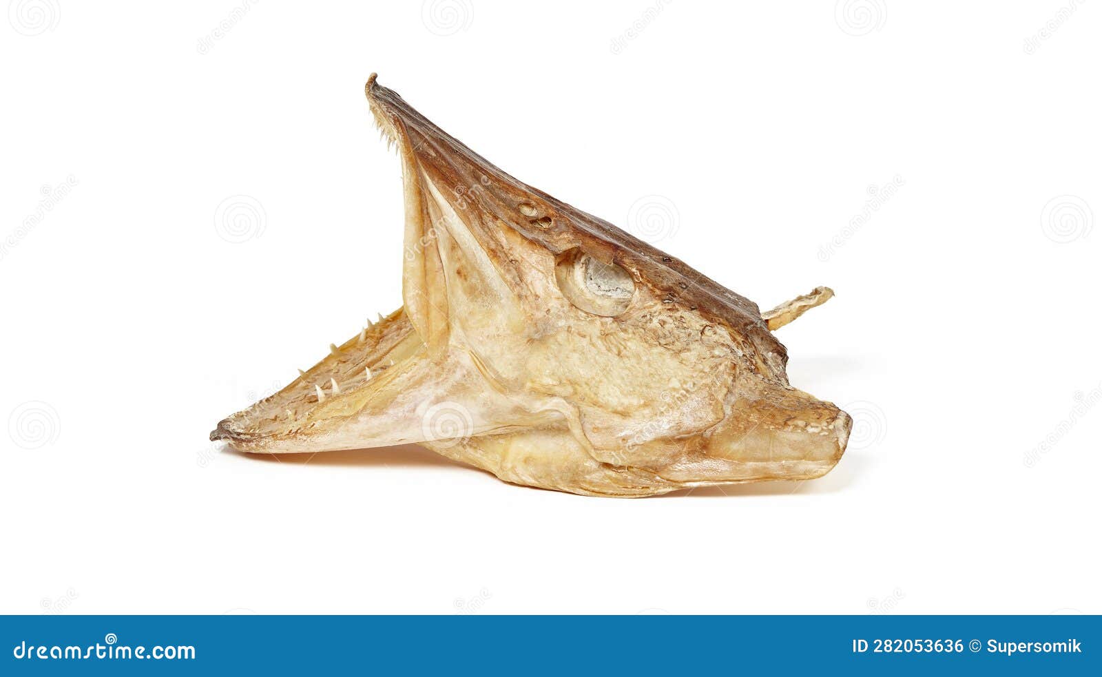 Dried Pike Head Isolated on White Background Stock Photo - Image of ...